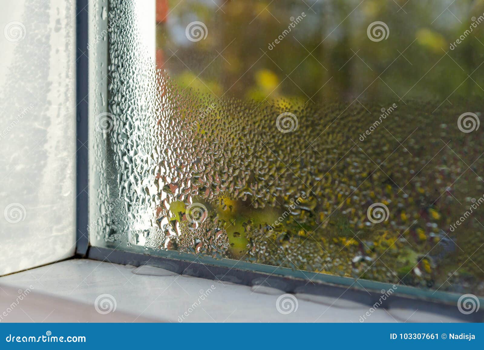 Window with Water Drops Closeup, Inside, Selective Focus Stock Image ...