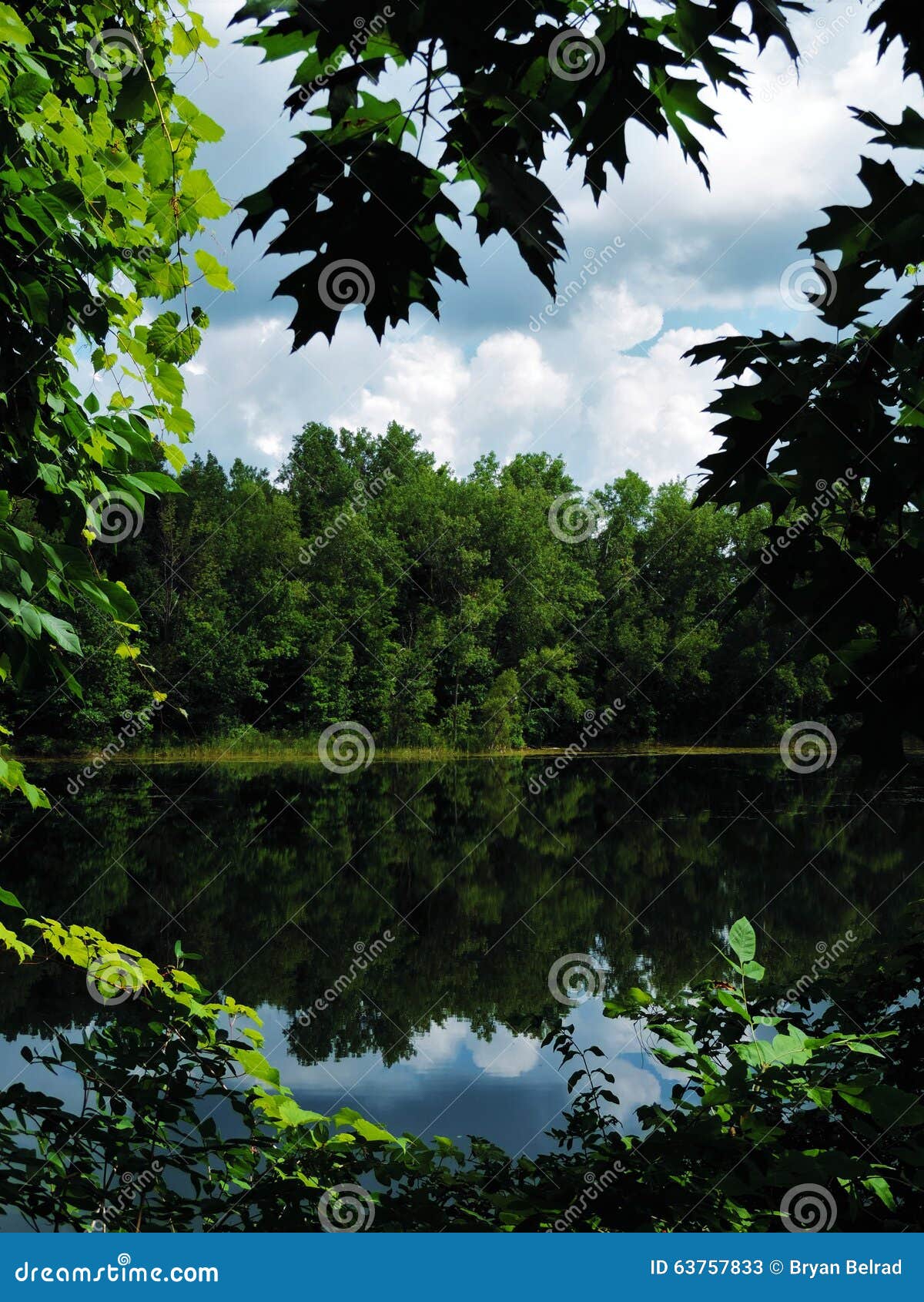 Window in the Wilderness stock image. Image of trees - 63757833