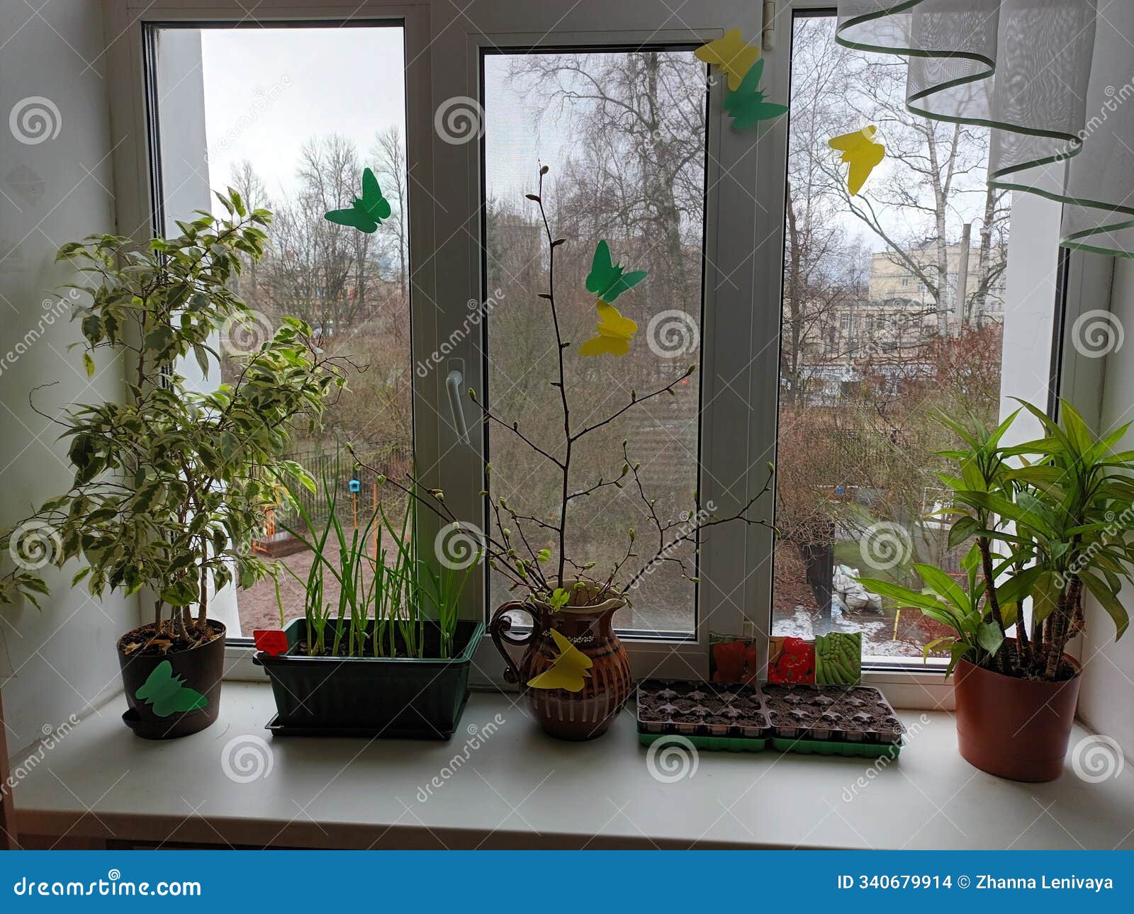 Window and Windowsill with Plants for Children Stock Photo - Image of ...