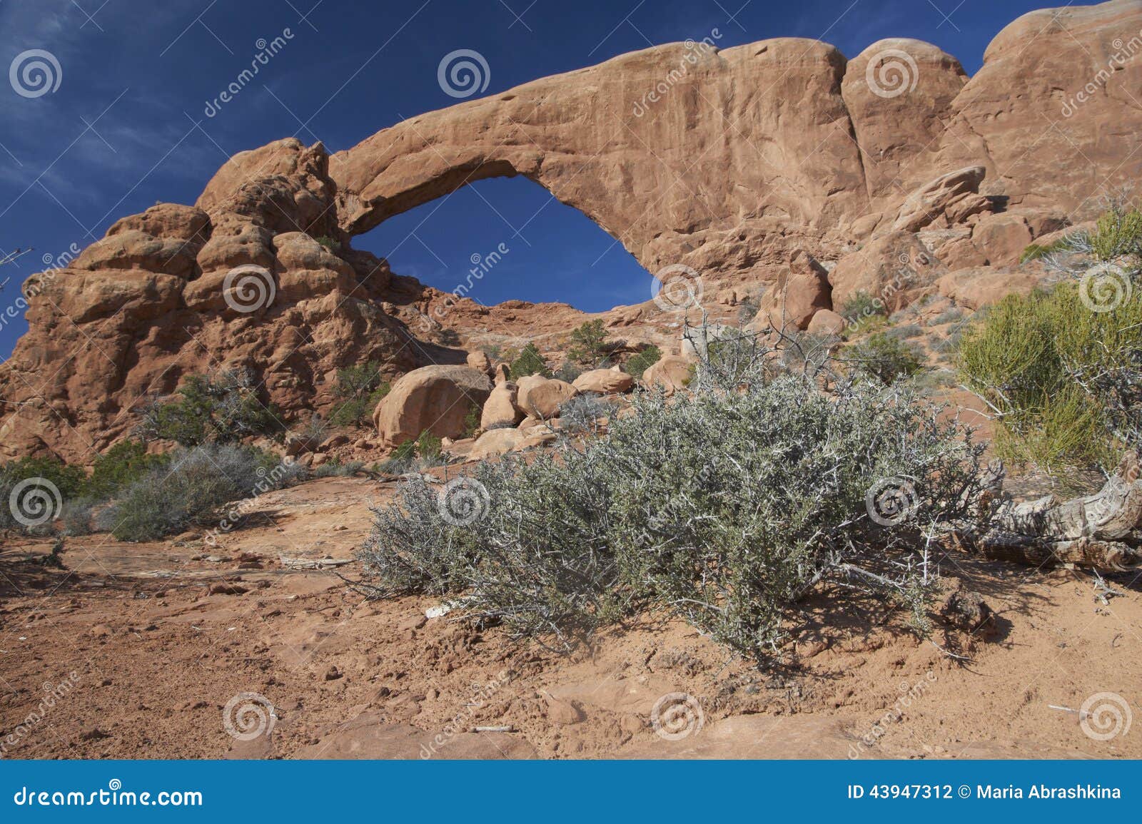 Windows arch stock photo. Image of color, arches, nature - 43947312