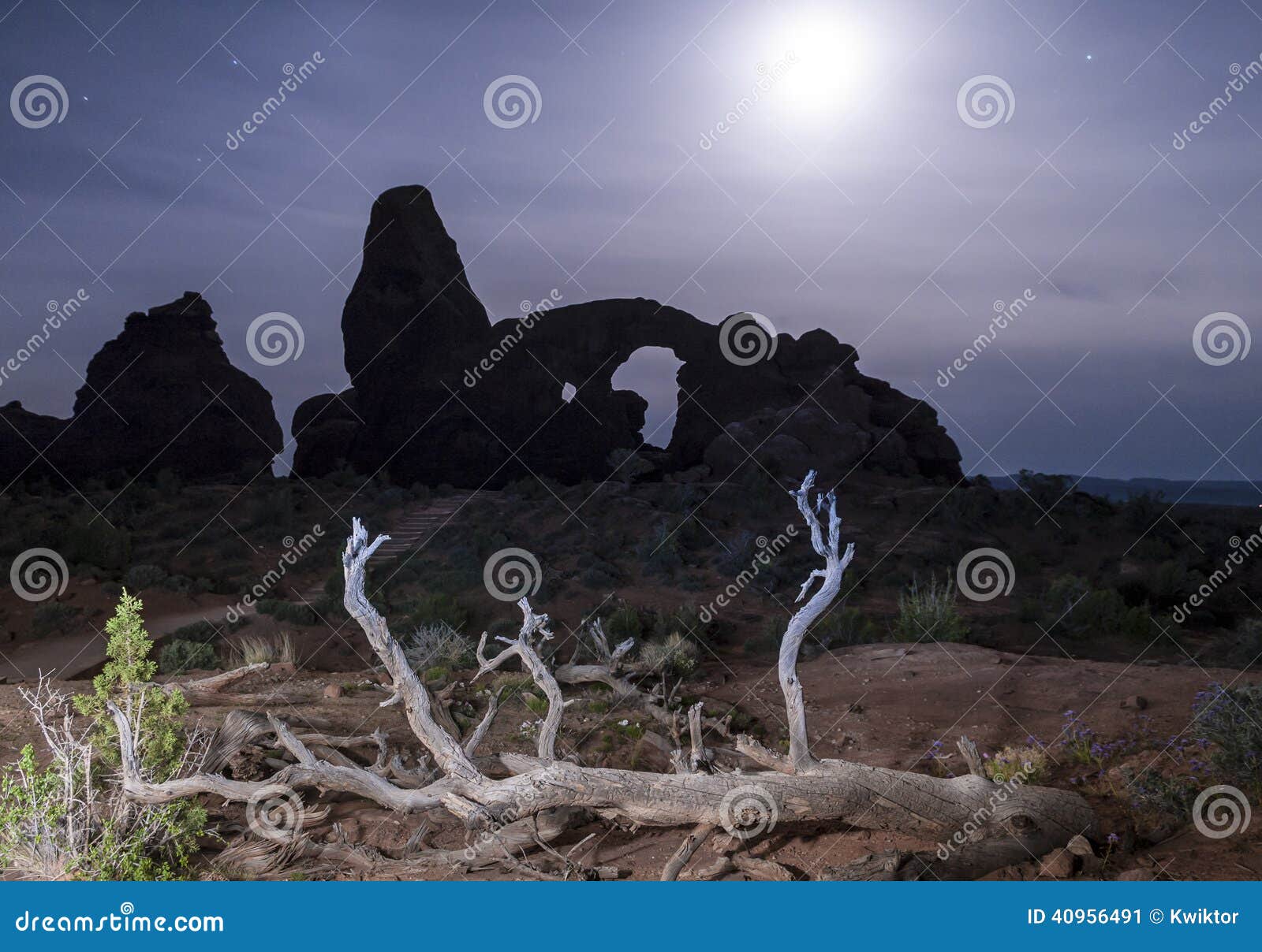 Windows Arches National Park at Night Stock Image - Image of arch ...
