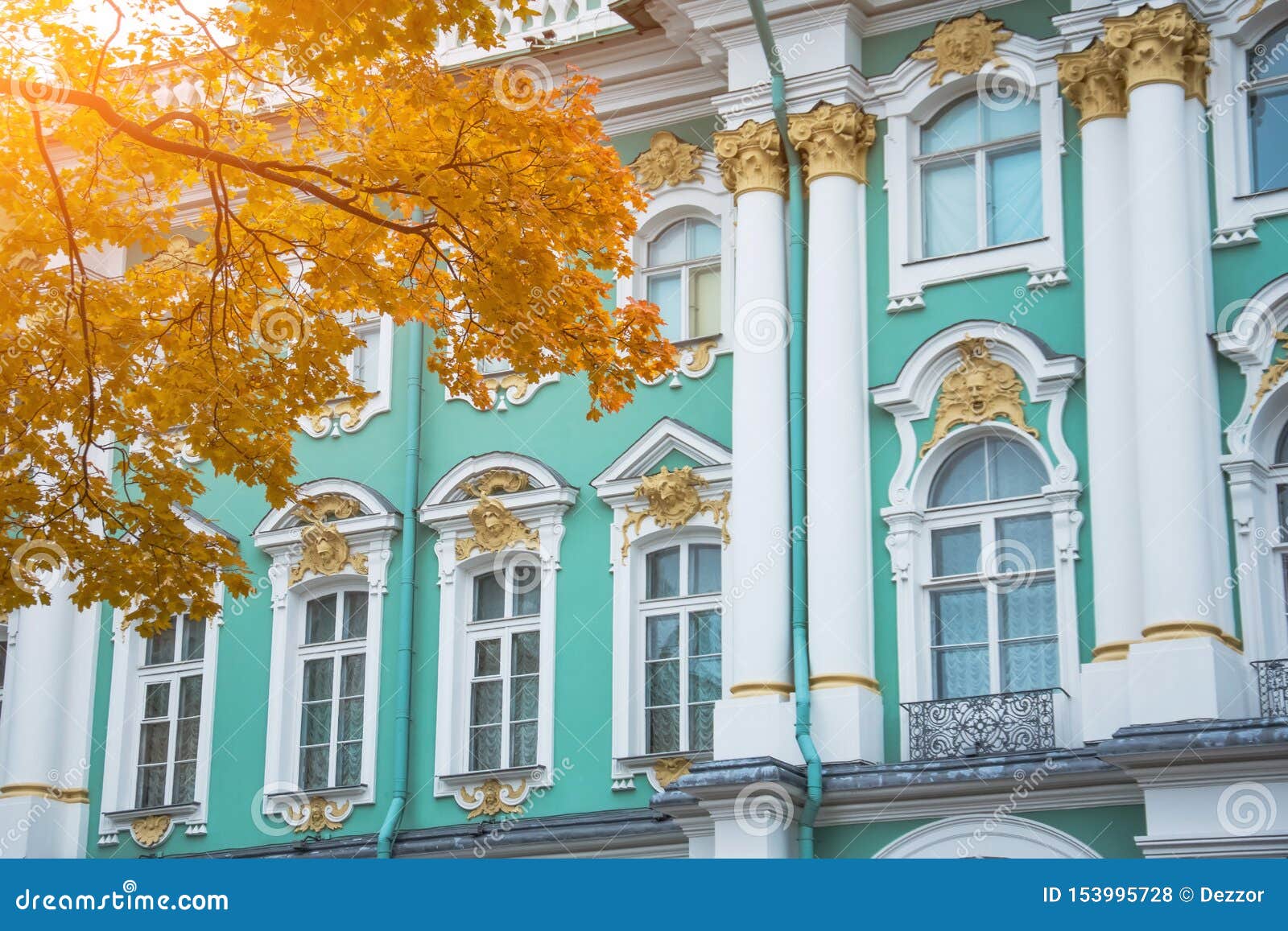 Windows and Columns of the Hermitage of the Winter Palace with Autumn ...