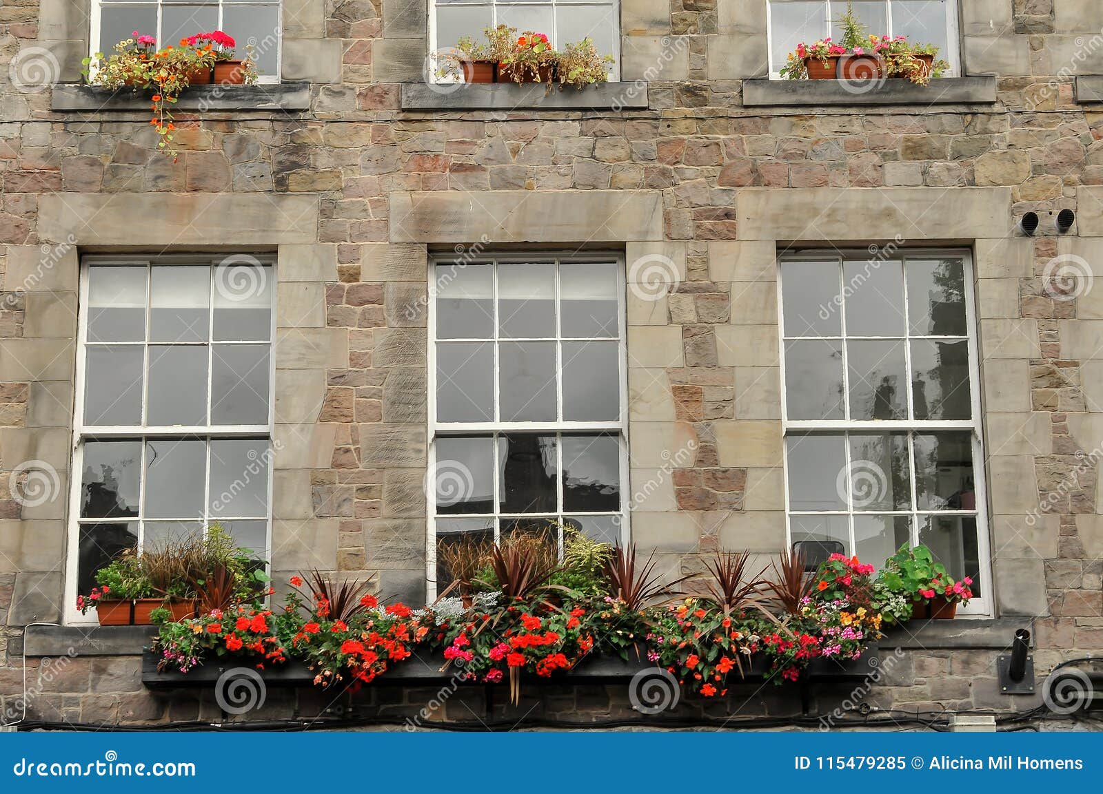 Windows in Edinburgh, in Scotland Stock Image - Image of property ...