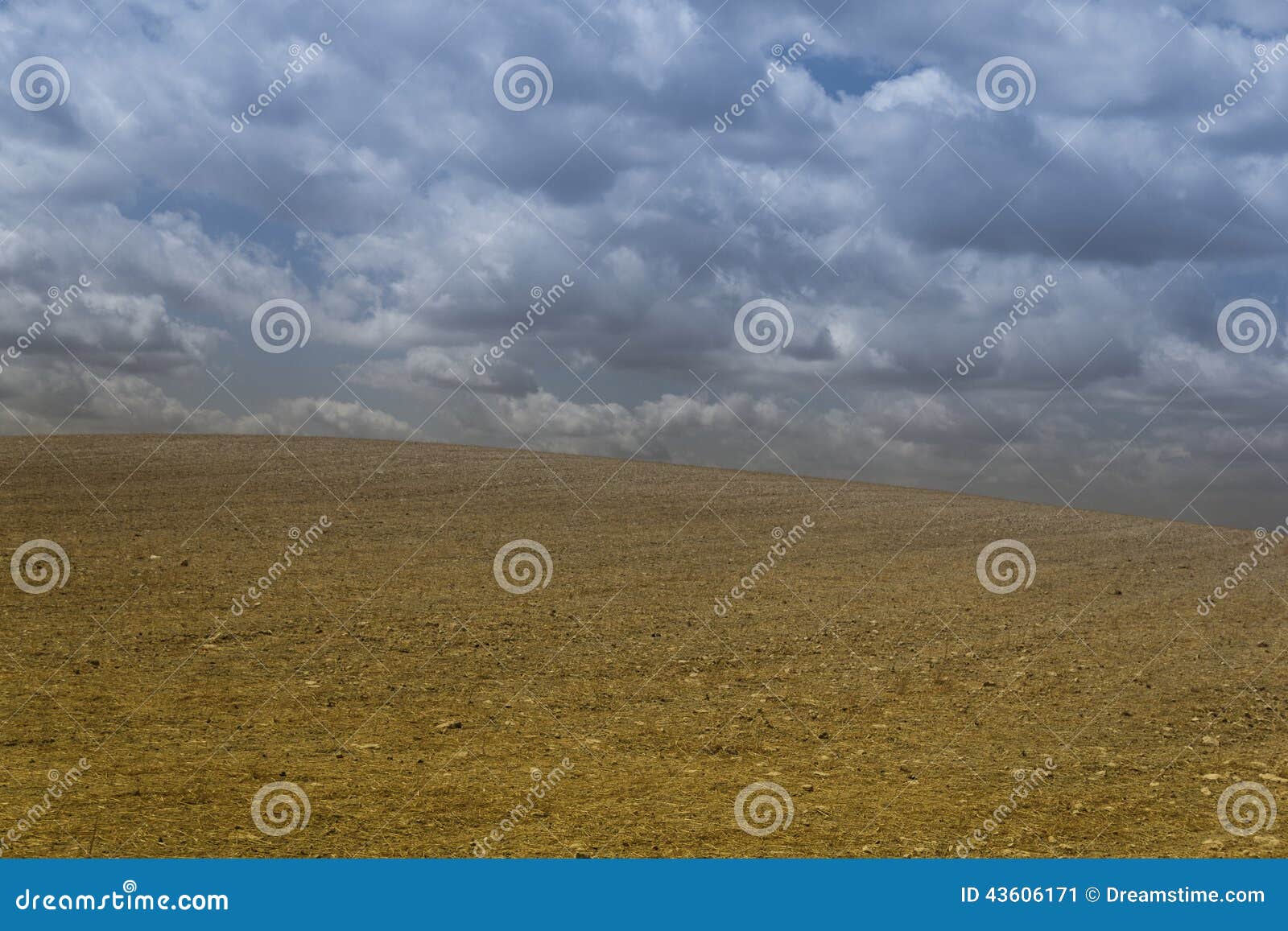 Windows en sequia stock image. Image of field, drought - 43606171