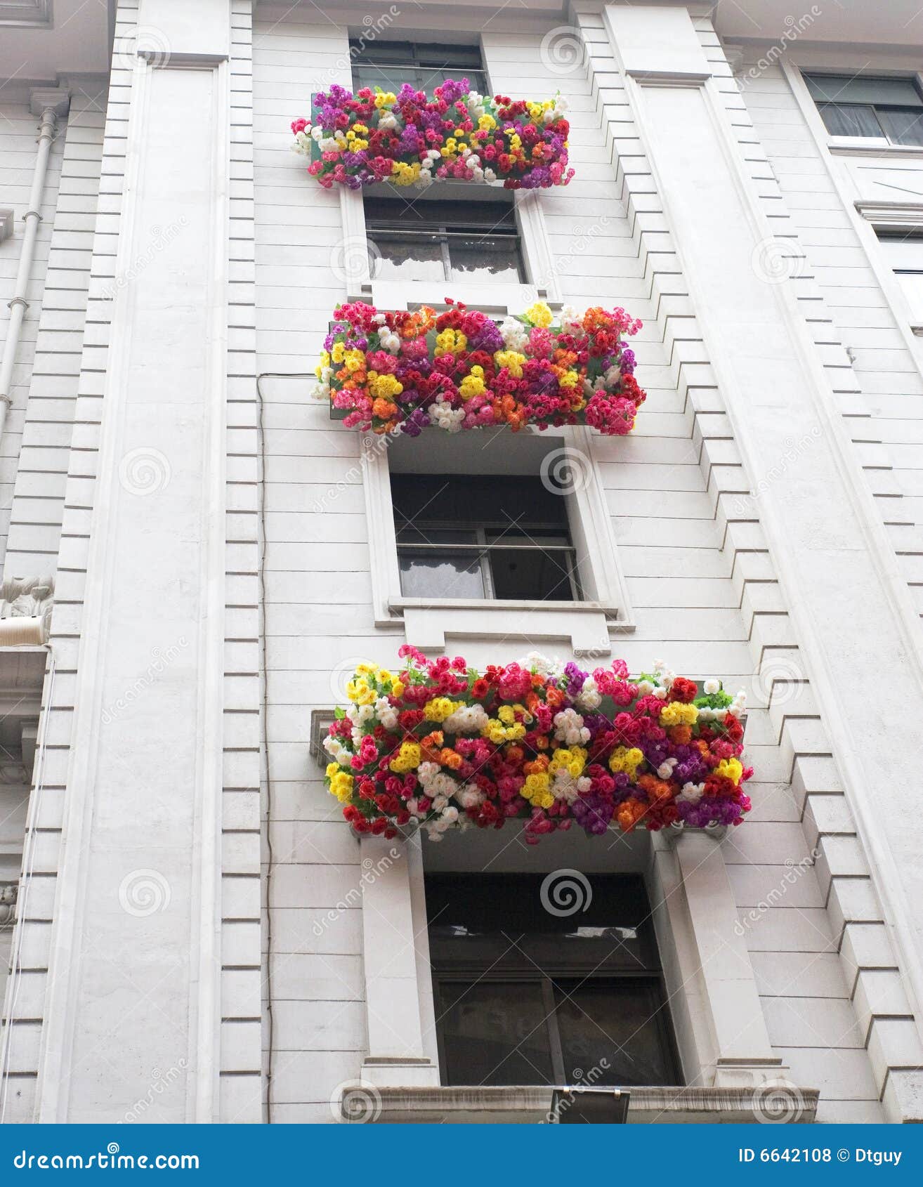 Windows with flowers stock photo. Image of nature, autumn - 6642108