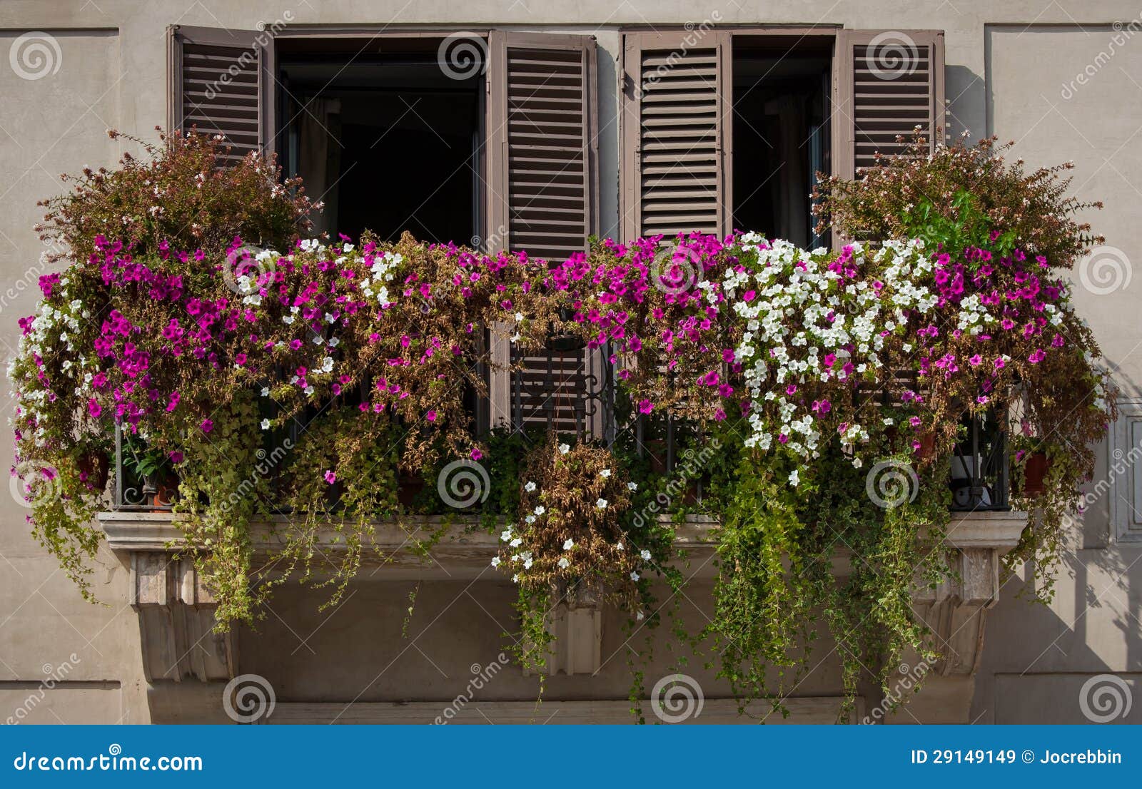 Windows Framed by Colorful Flowers in Piazza in Rome, Italy Stock Image ...