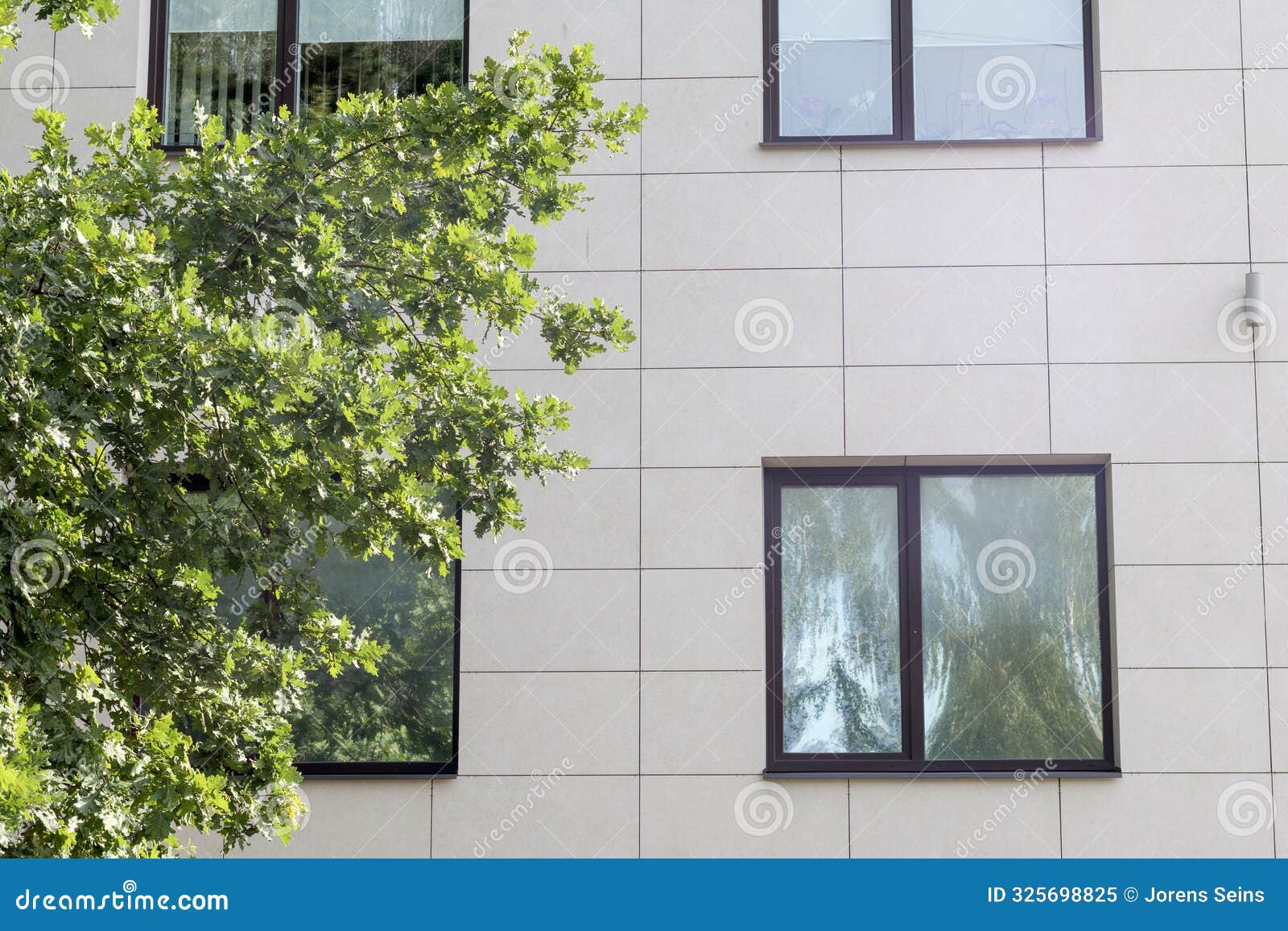 .windows on a Gray Wall with Green Tree Leaves Stock Image - Image of ...