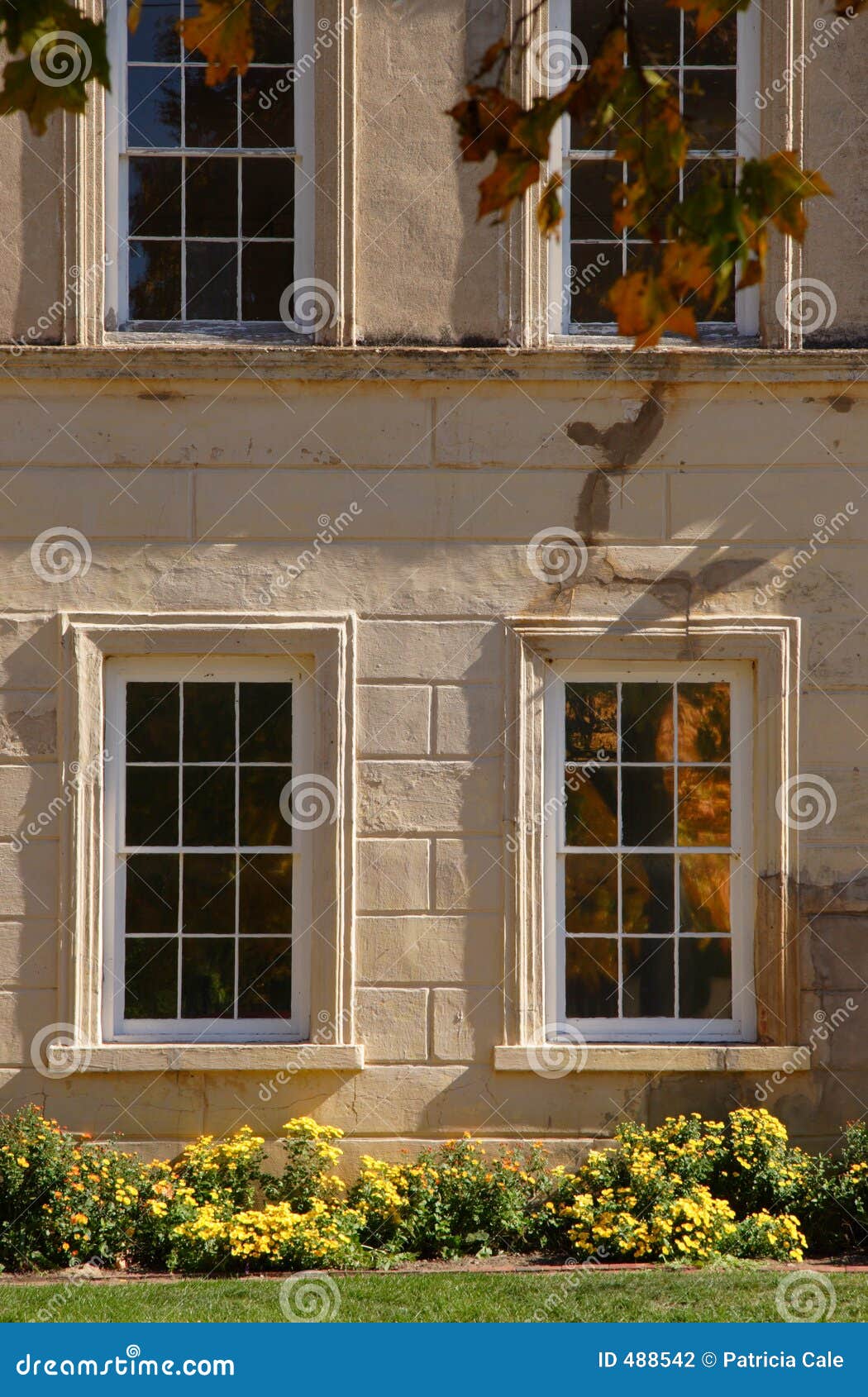 Windows in Historic Building Stock Photo - Image of grass, flower: 488542
