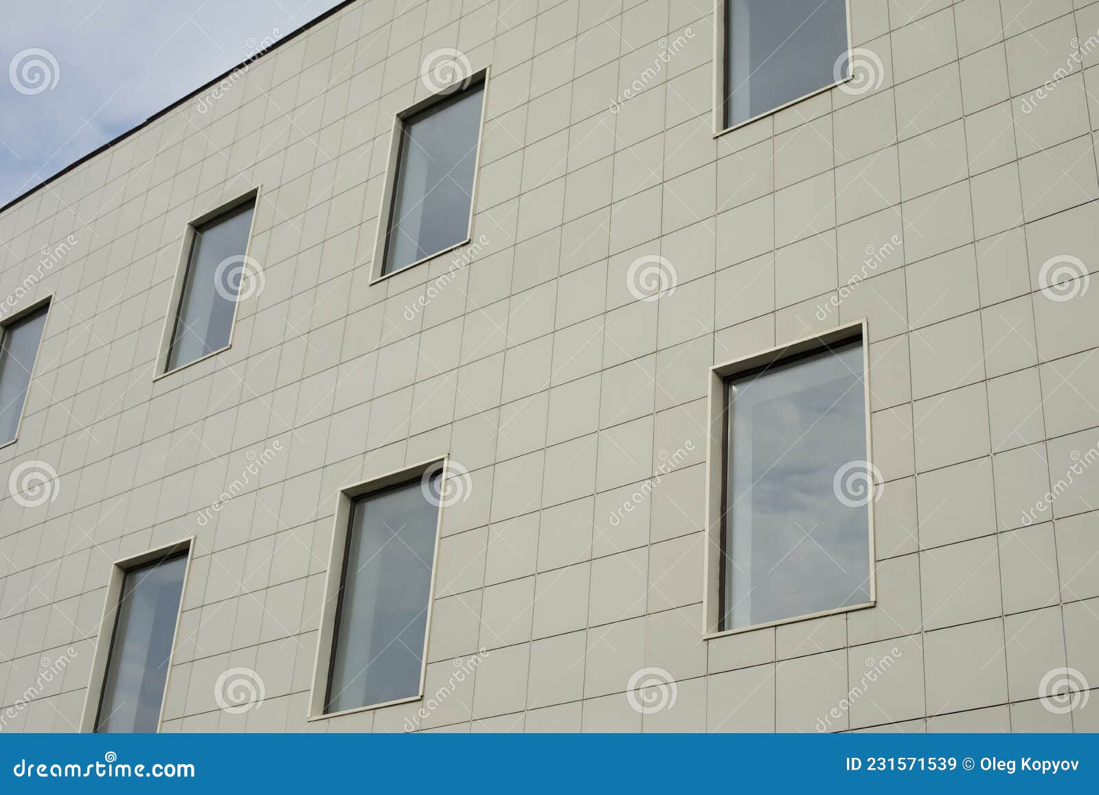 Windows in the Office Building. Facing Panel in Modern Architecture ...