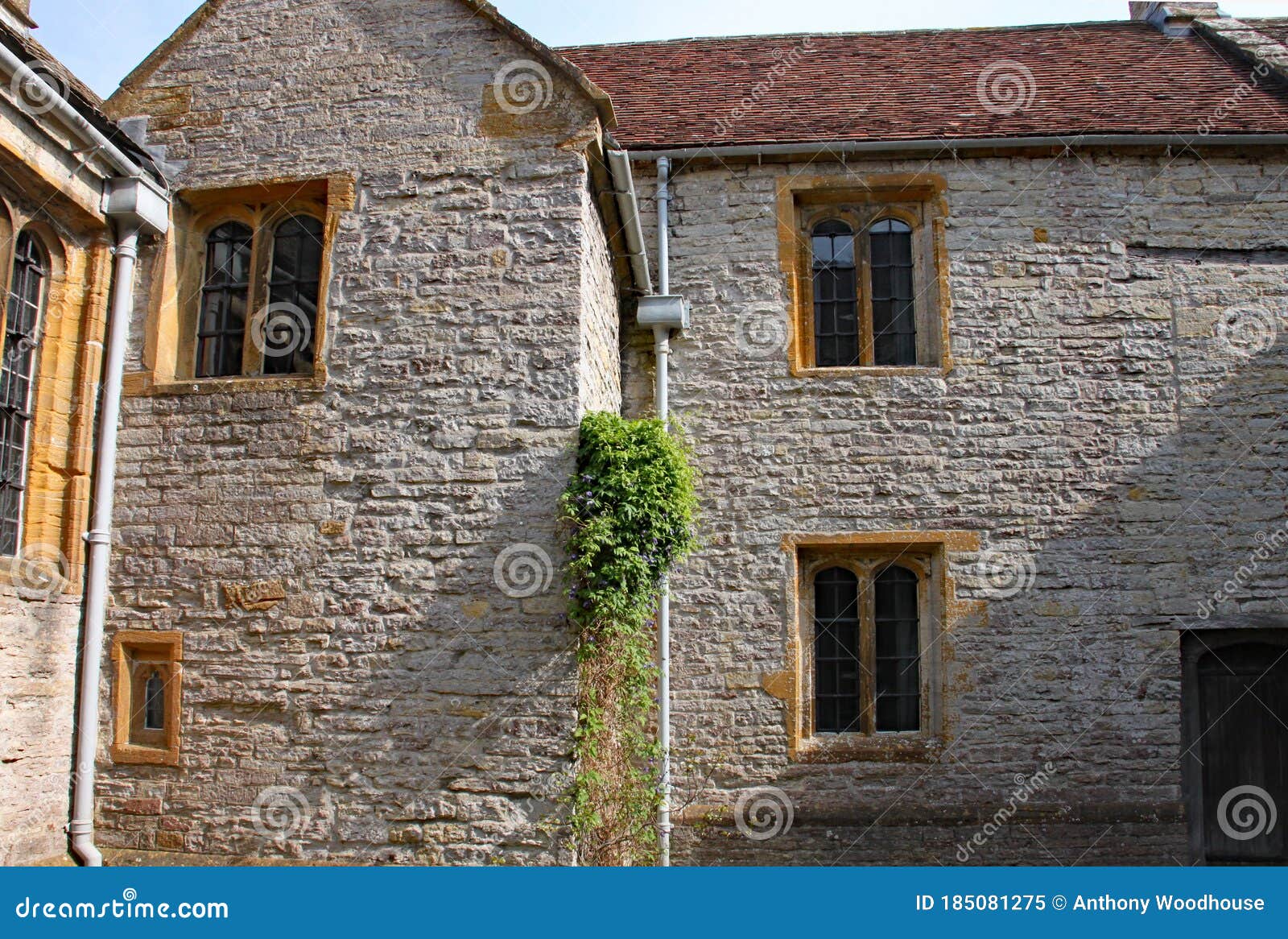 Windows and Old Stone Walling in an English Manor House Stock Image ...