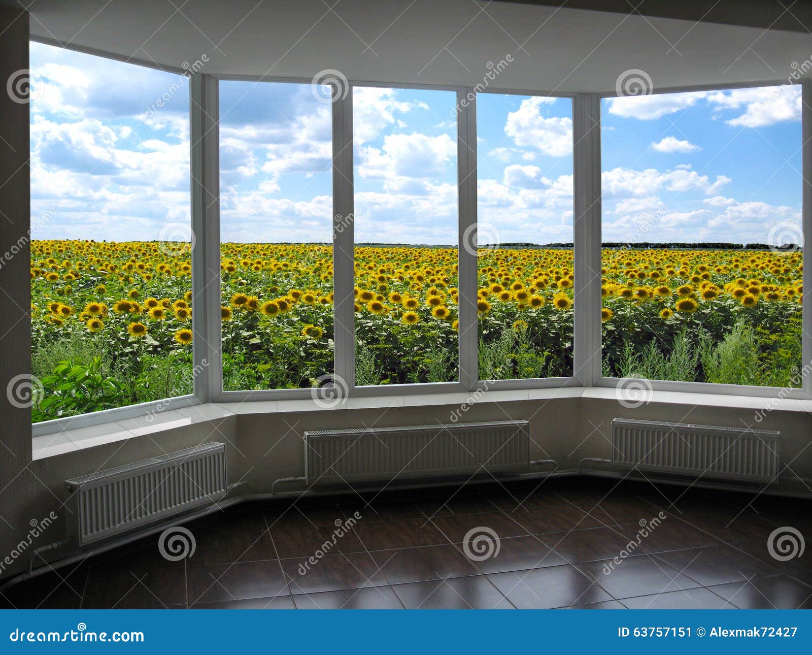 Windows Overlooking the Field of Sunflowers Stock Image - Image of ...