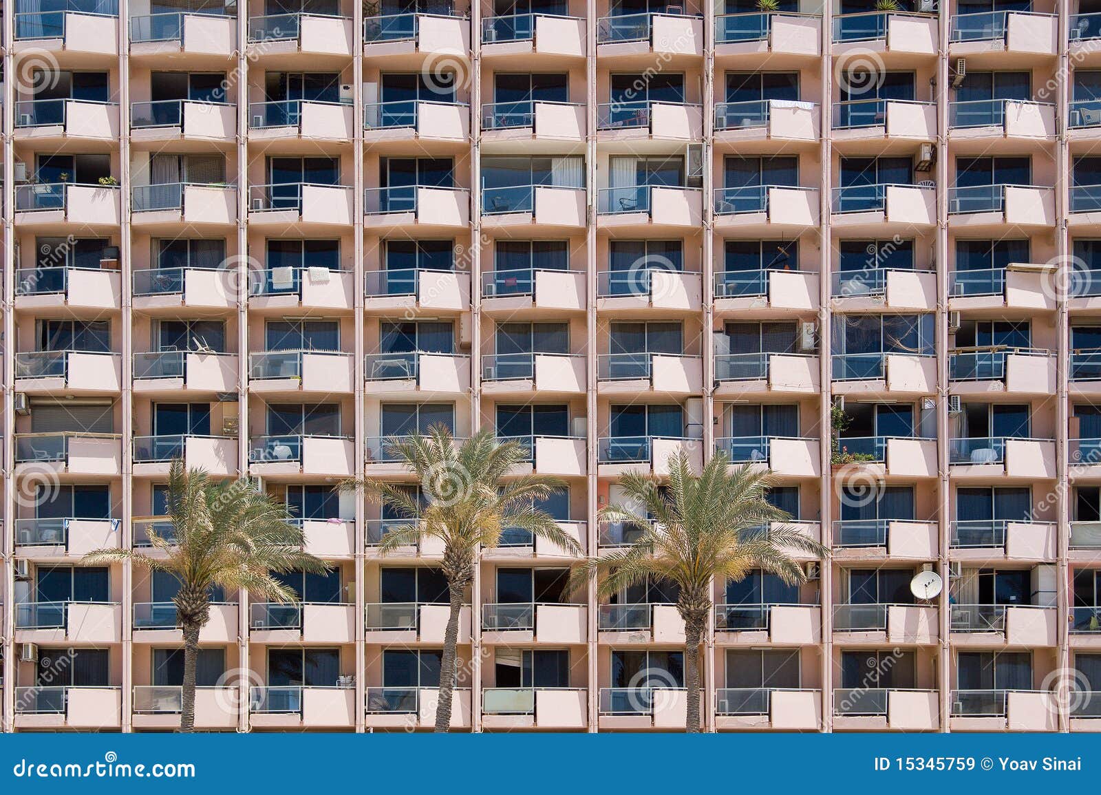 Windows and palm tree stock image. Image of aviv, hotel - 15345759