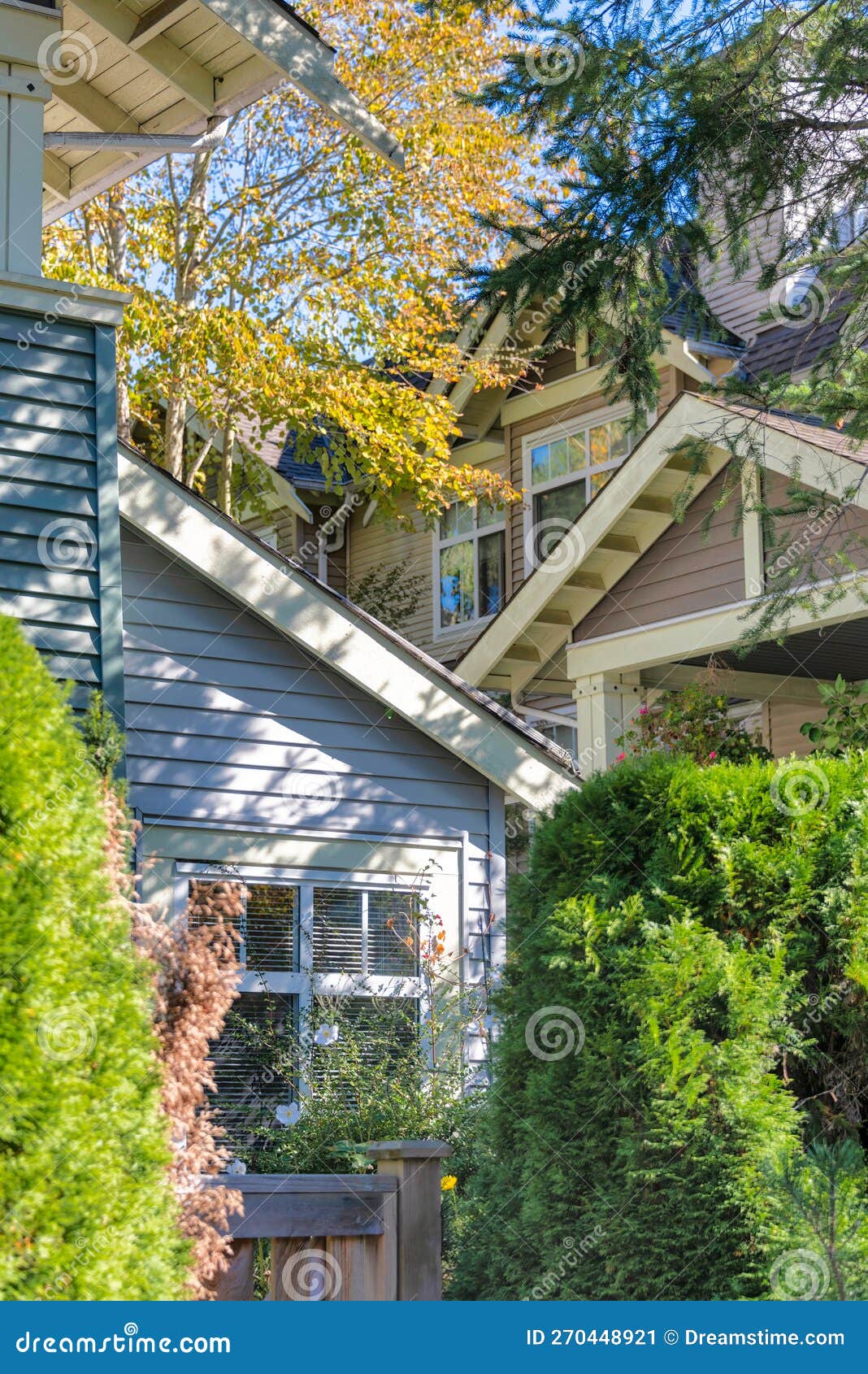 Windows and Roofs of Residentilal Buildings among the Tree Branches ...