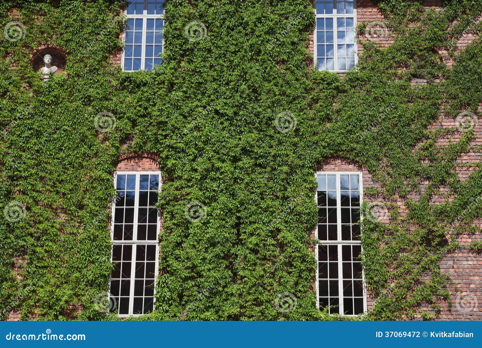 Windows of the Royal Palace in Stockholm Stock Photo - Image of capital ...