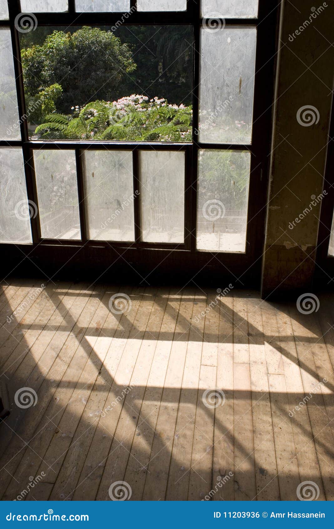 Windows shadow stock photo. Image of green, wood, vintage - 11203936