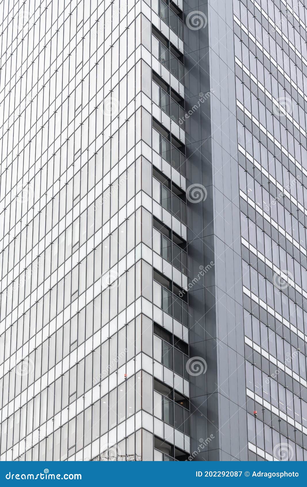 Windows Texture of an Office Building with Repetitive Shapes and Great ...