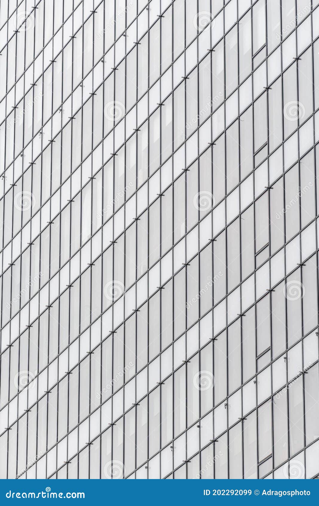 Windows Texture of an Office Building with Repetitive Shapes and Great ...