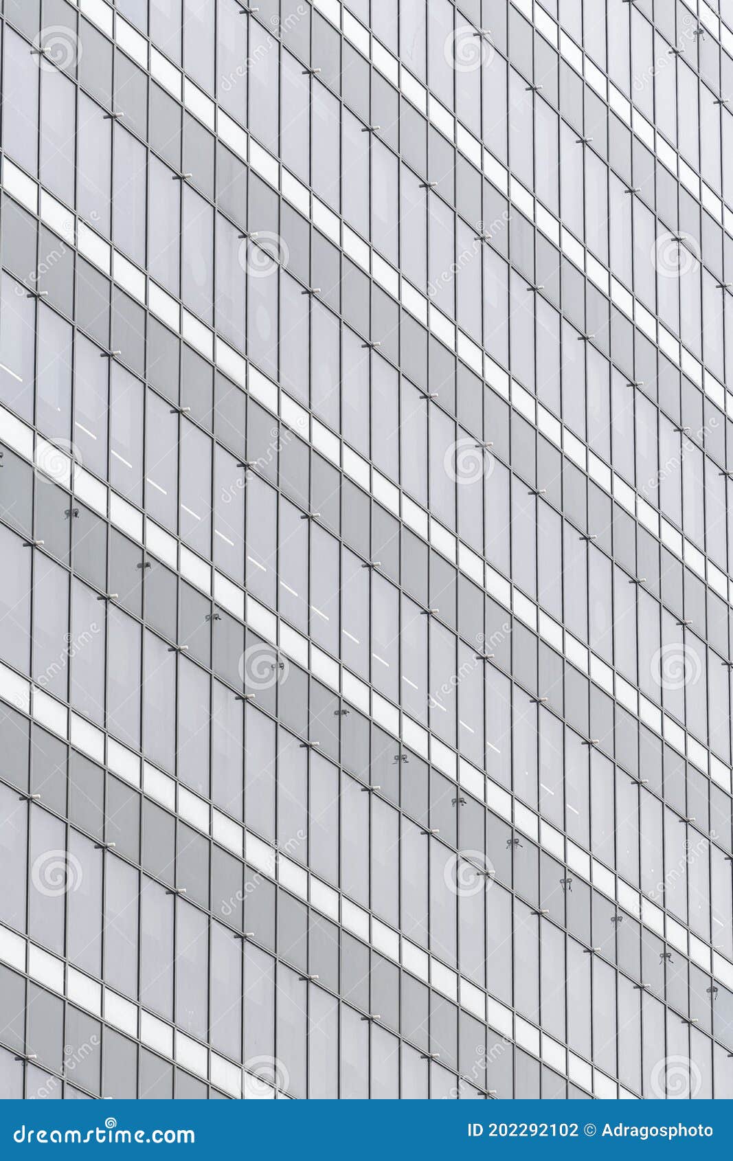 Windows Texture of an Office Building with Repetitive Shapes and Great ...