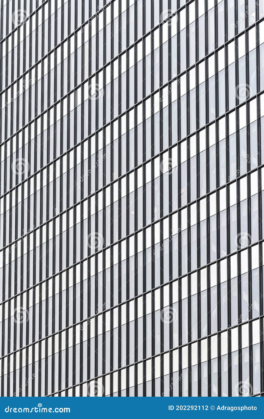 Windows Texture of an Office Building with Repetitive Shapes and Great ...