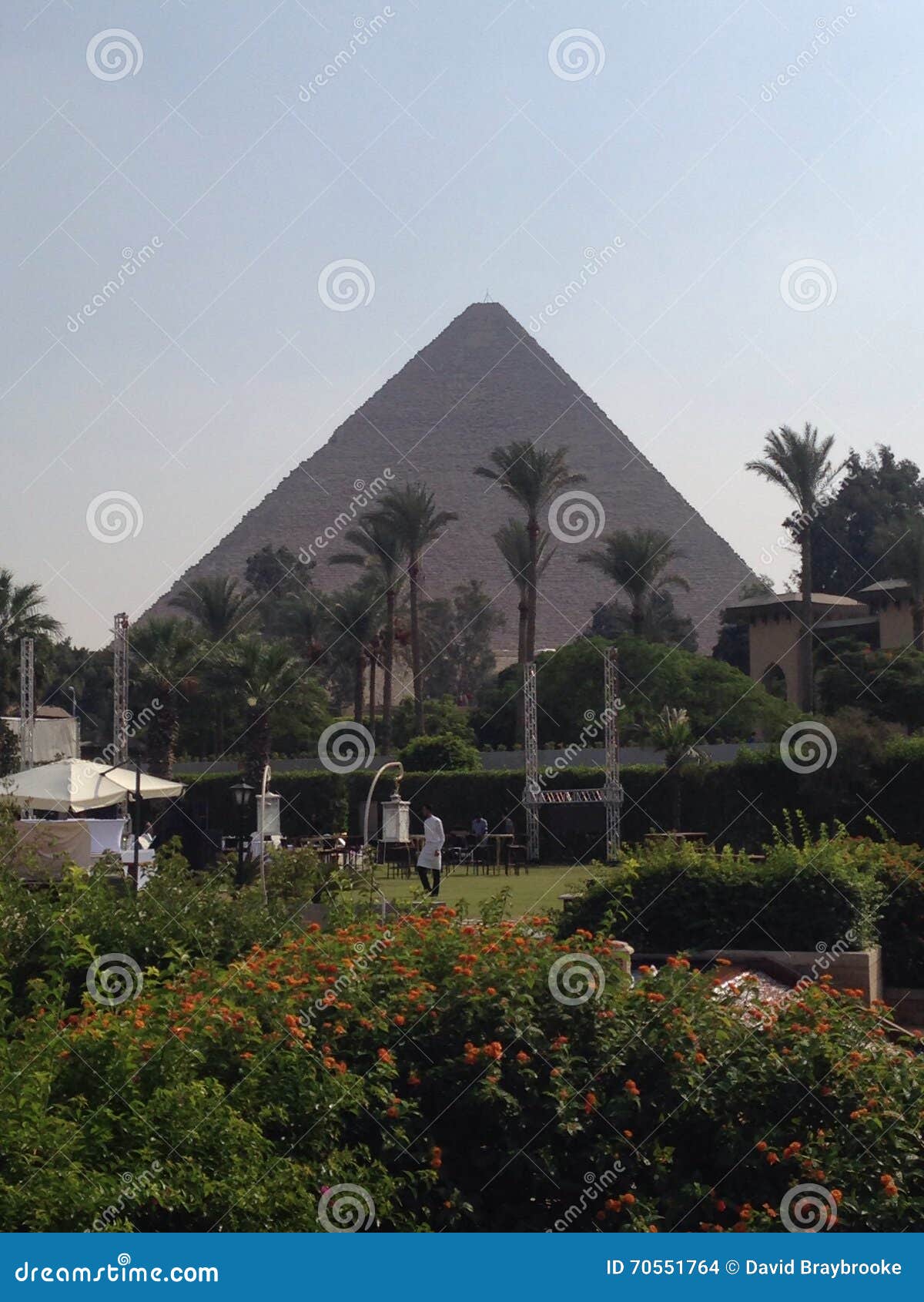 Windows to Ancient Egypt editorial stock image. Image of camel - 70551764