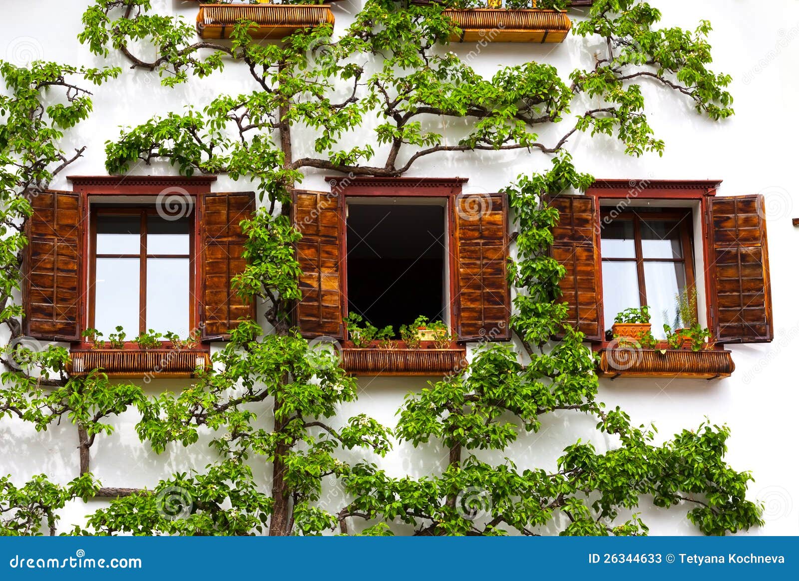 Windows on a White Wall and Tree Stock Image - Image of antique, town ...