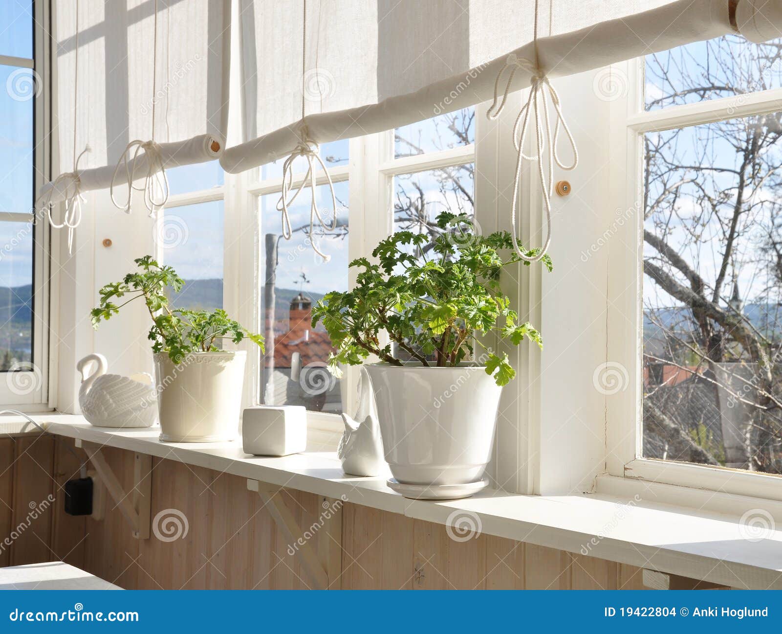 243 Swedish Pots Photos - Free & Royalty-Free Stock Photos from Dreamstime