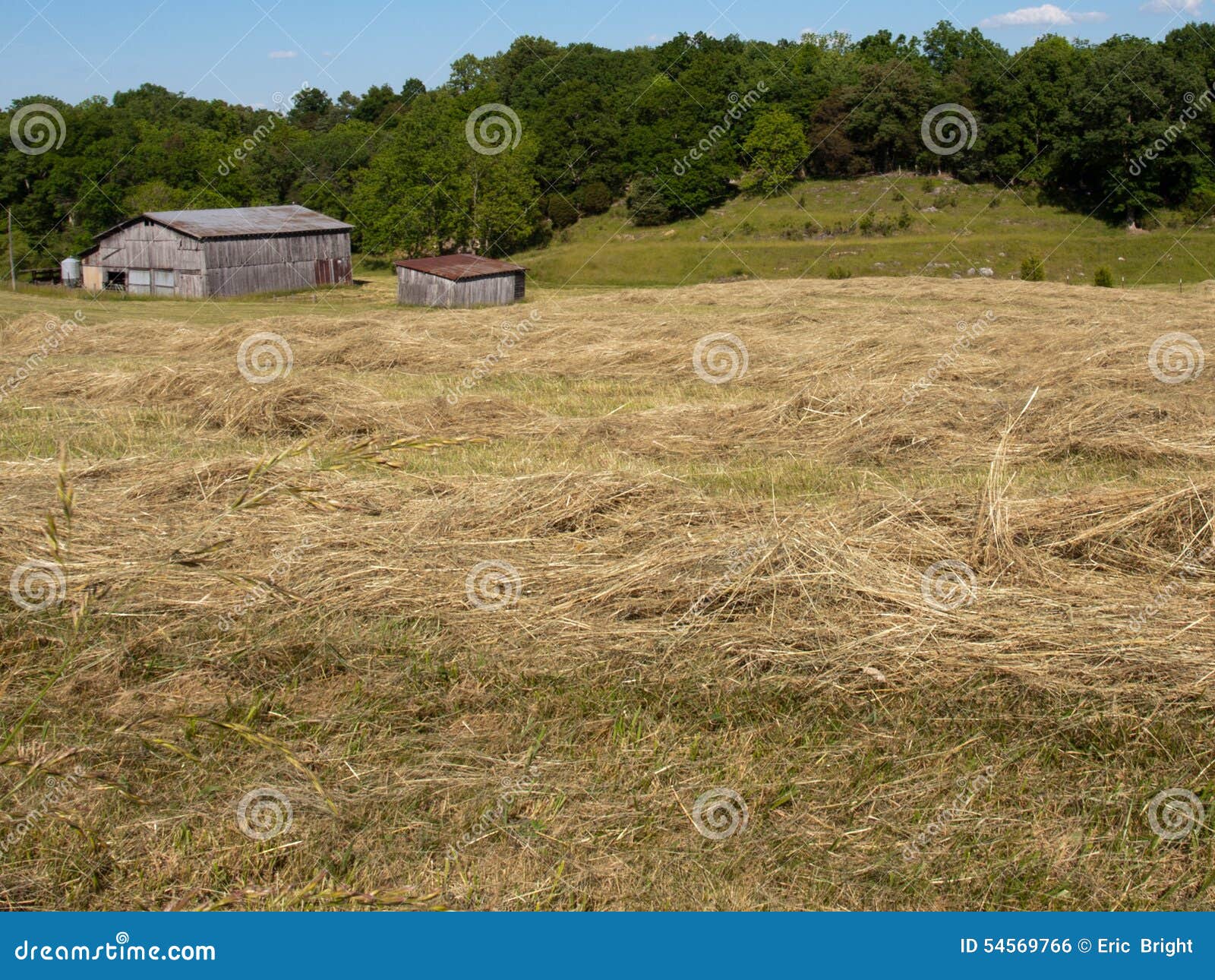 Windrow Field Barn Stock Photos - Free & Royalty-Free Stock Photos from ...