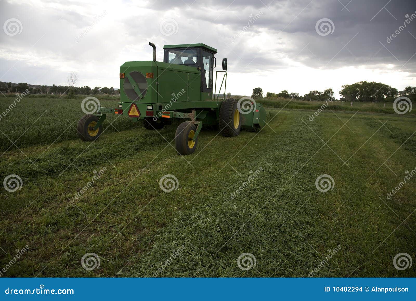 Windrower cutting alfalfa stock photo. Image of field - 10402294