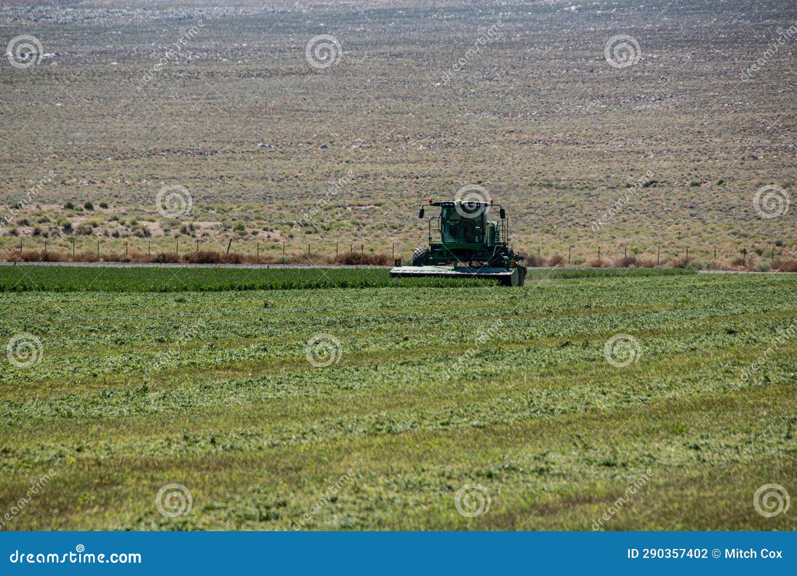 Windrower Cutting Alfalfa 1 Stock Photo - Image of meadow, farmer ...