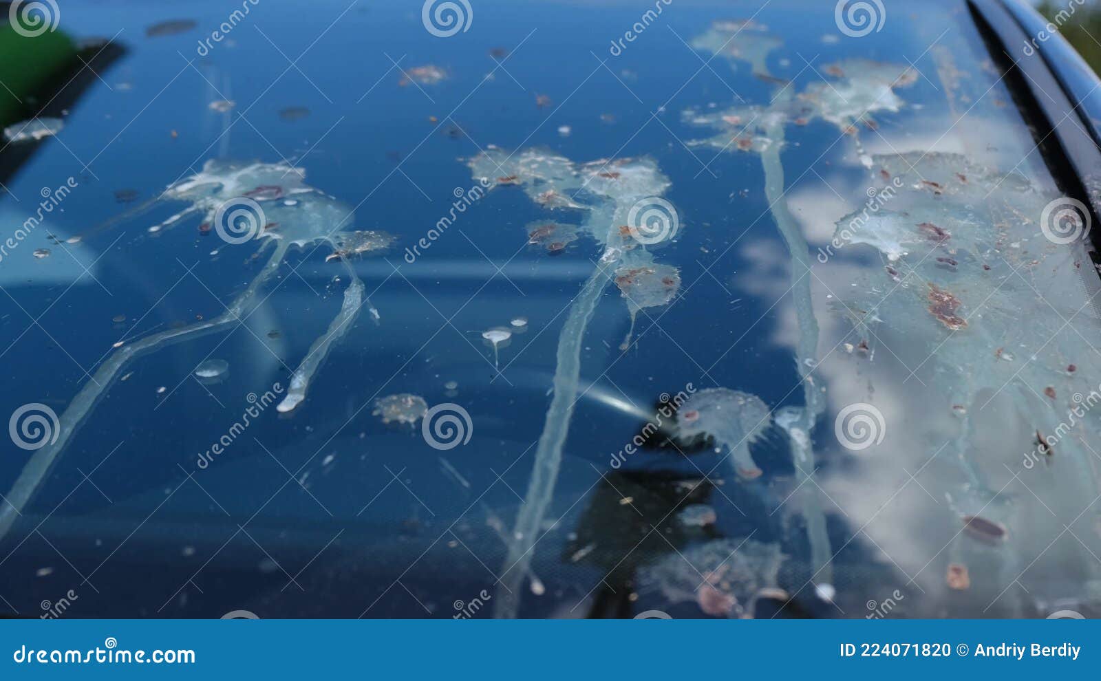 The Windshield of a Car with Lots of Bird Droppings. Stock Footage ...