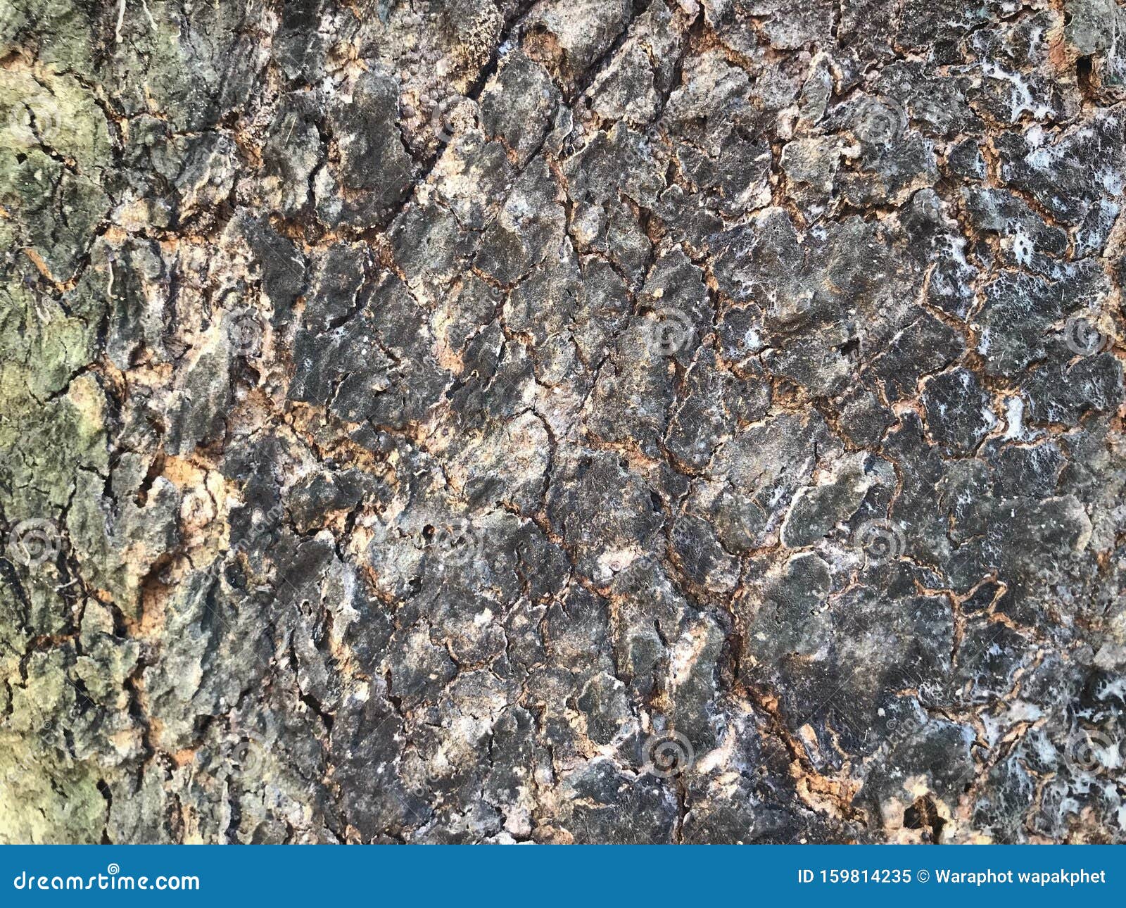 Windshield Crack Texture Pattern Background Stock Image - Image of ...