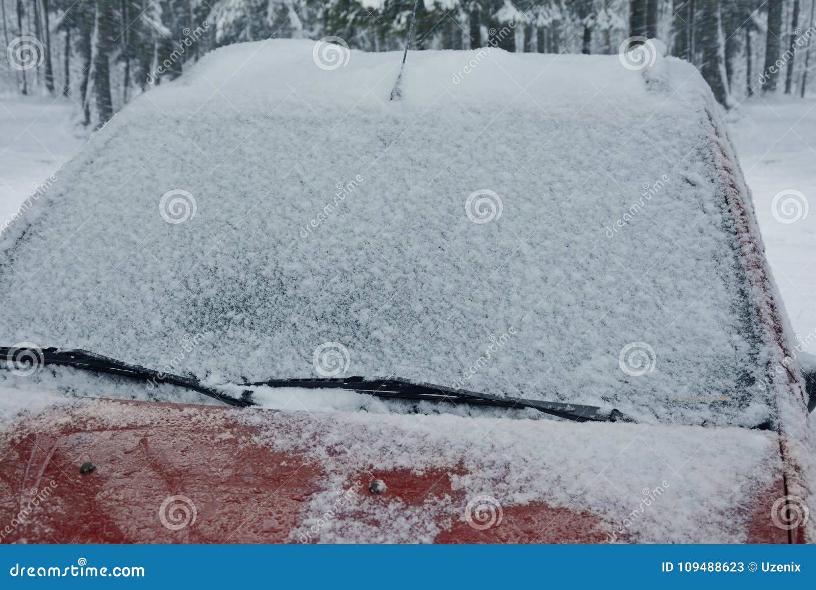 Windshield in the Snow on a Winter Forest Background Stock Image ...