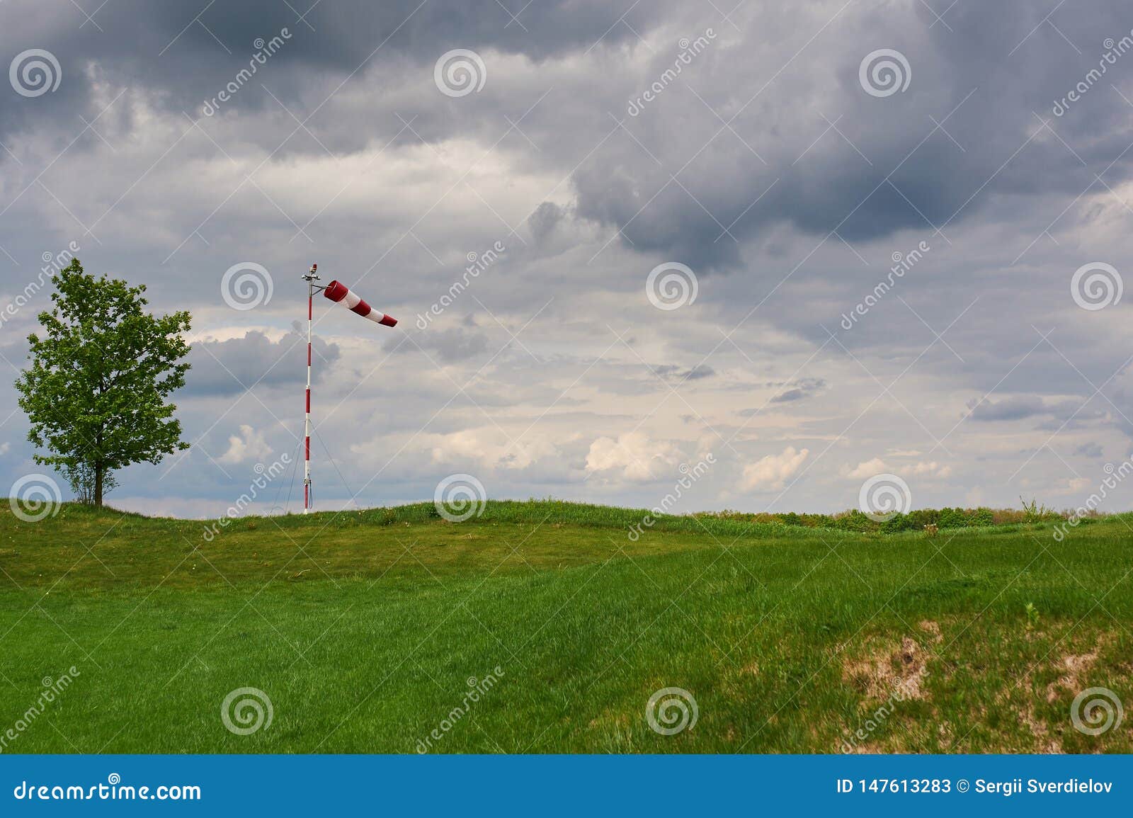 Windsock Blown by the Wind with Overcast Sky, Lonely Tree and Green ...