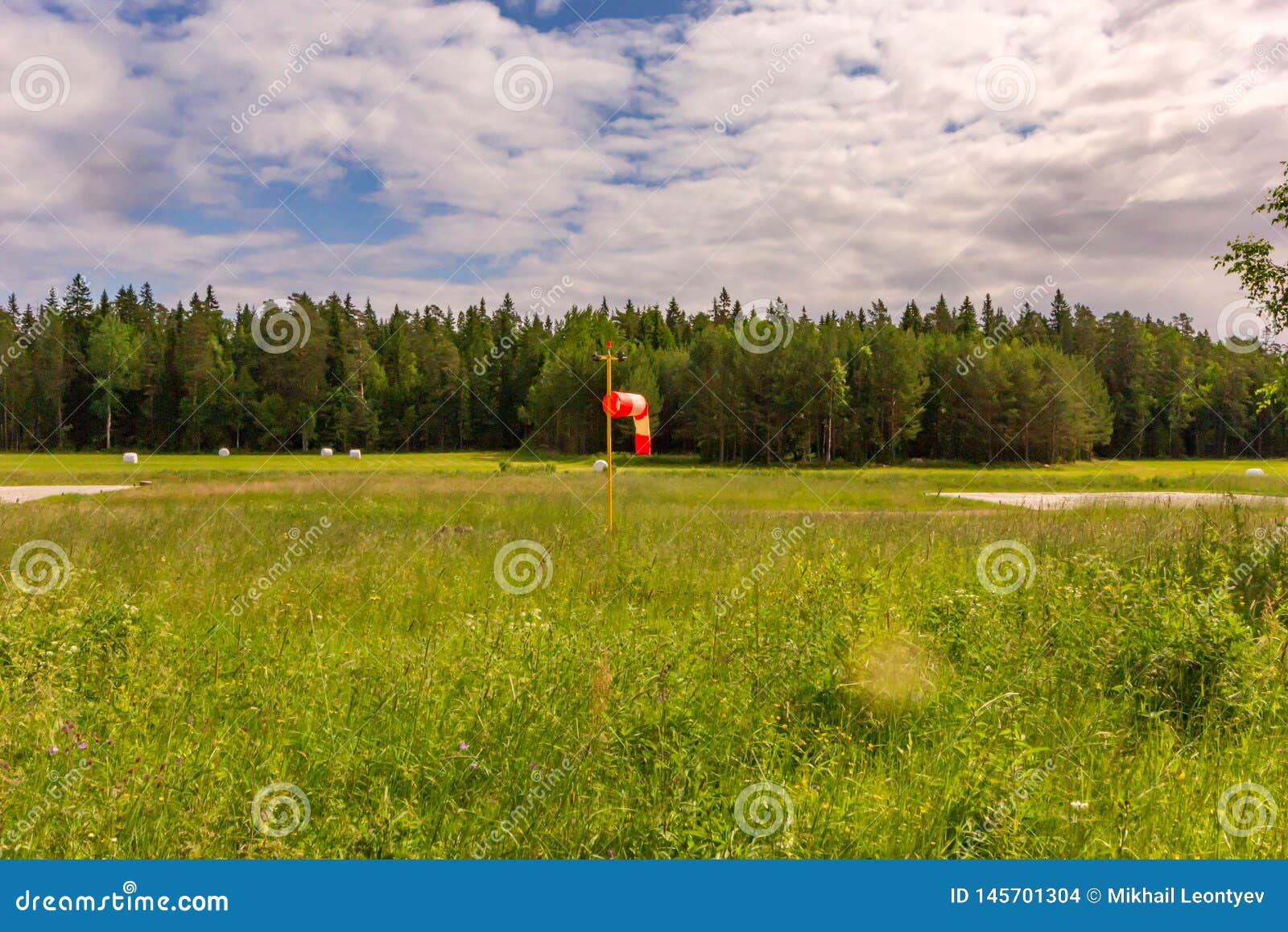 Windsock on Green Field and Forest Background Editorial Stock Image ...