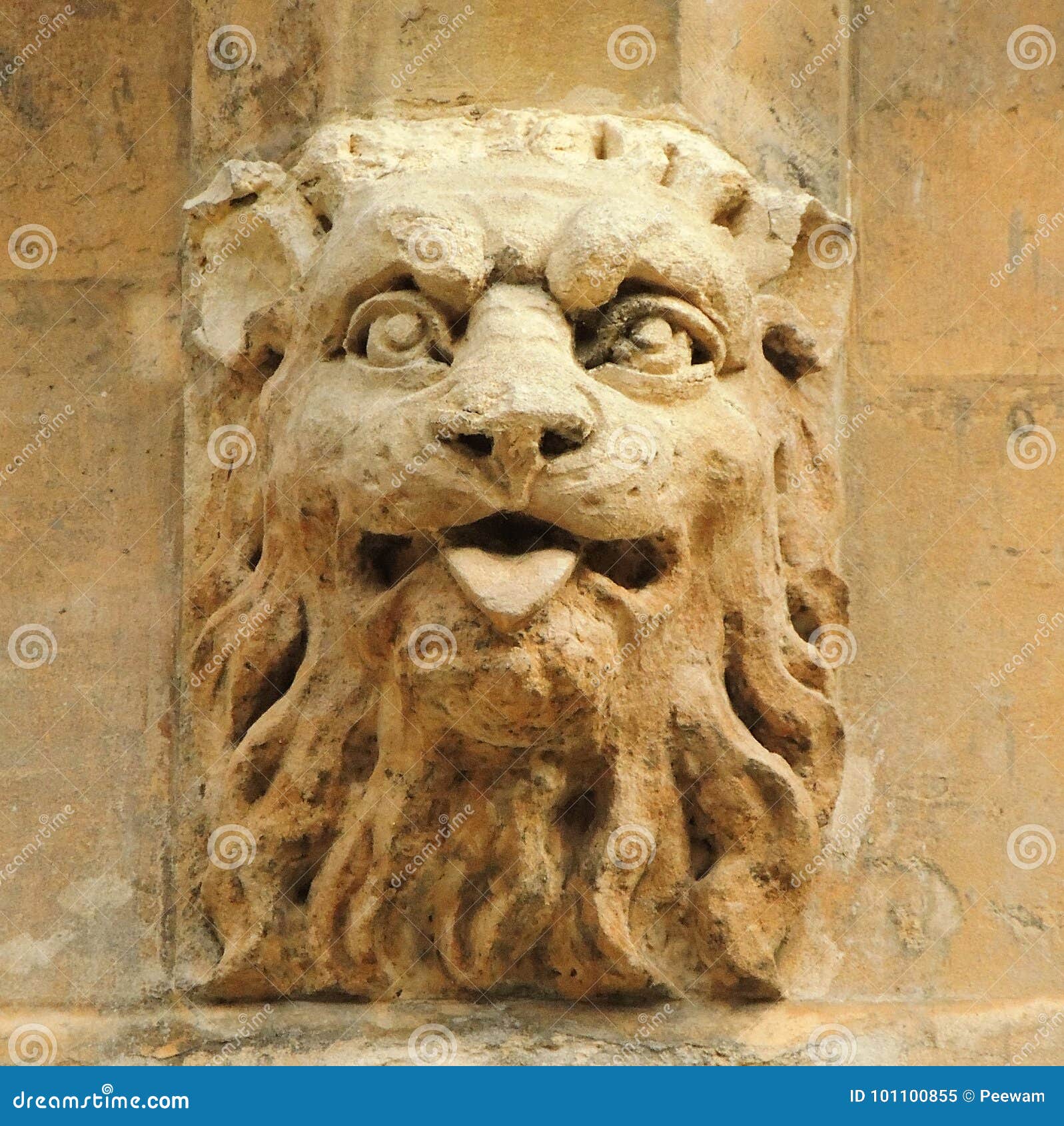 Stone Lion Gargoyle at Windsor Castle , UK Stock Image - Image of ...