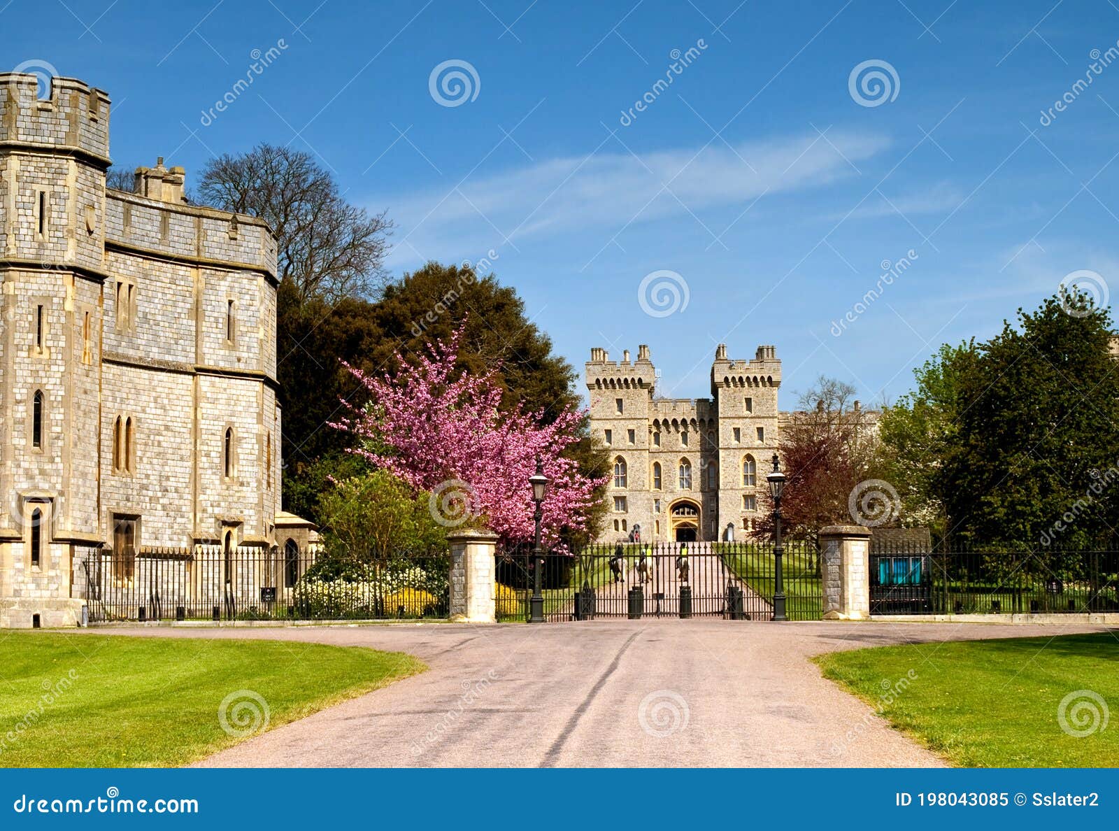 Windsor - the Long Walk in Spring Stock Image - Image of blossom ...