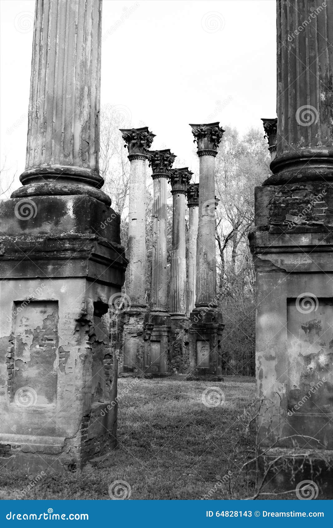 Windsor Plantation stock image. Image of white, south - 64828143