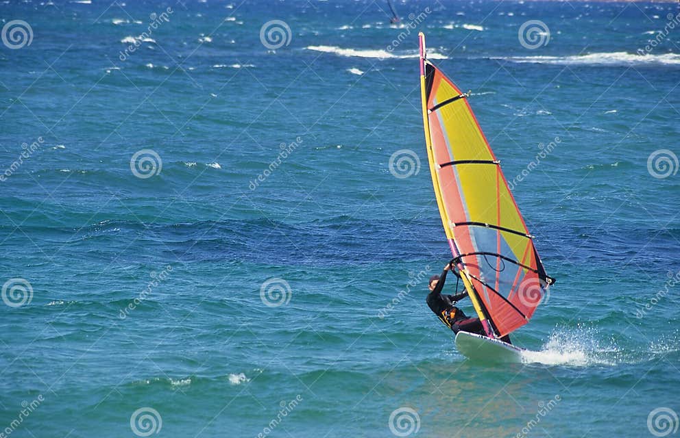Windsurf stock photo. Image of wind, summer, blue, surfer - 1337332
