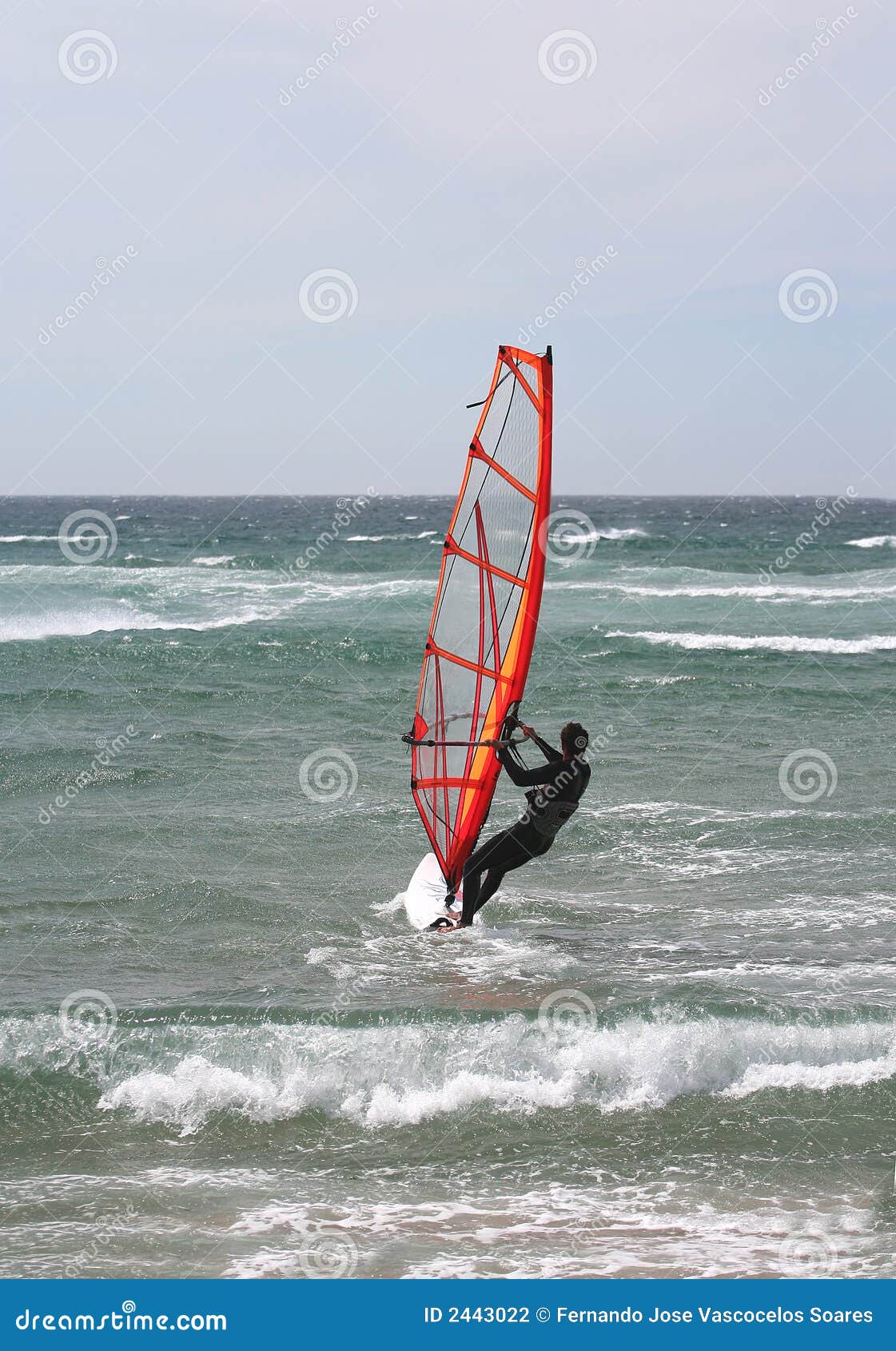 Windsurf portrait stock photo. Image of plucky, extreme - 2443022