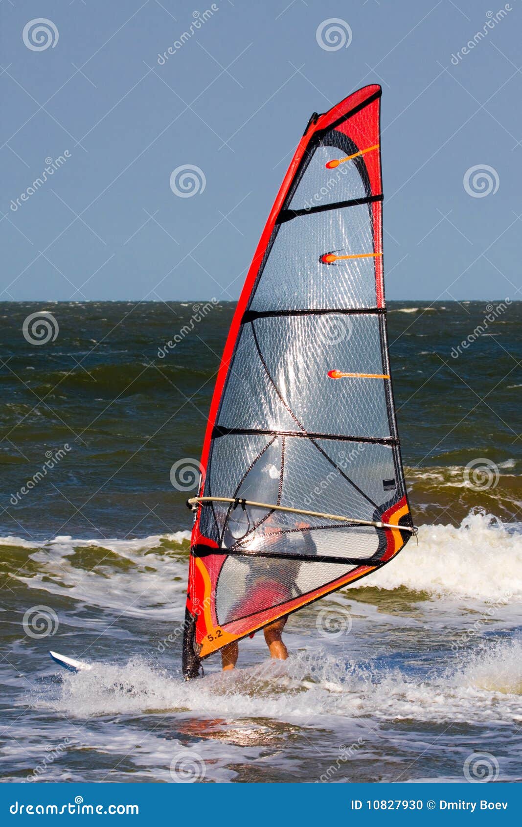 Windsurfer stock photo. Image of board, extreme, sailing - 10827930