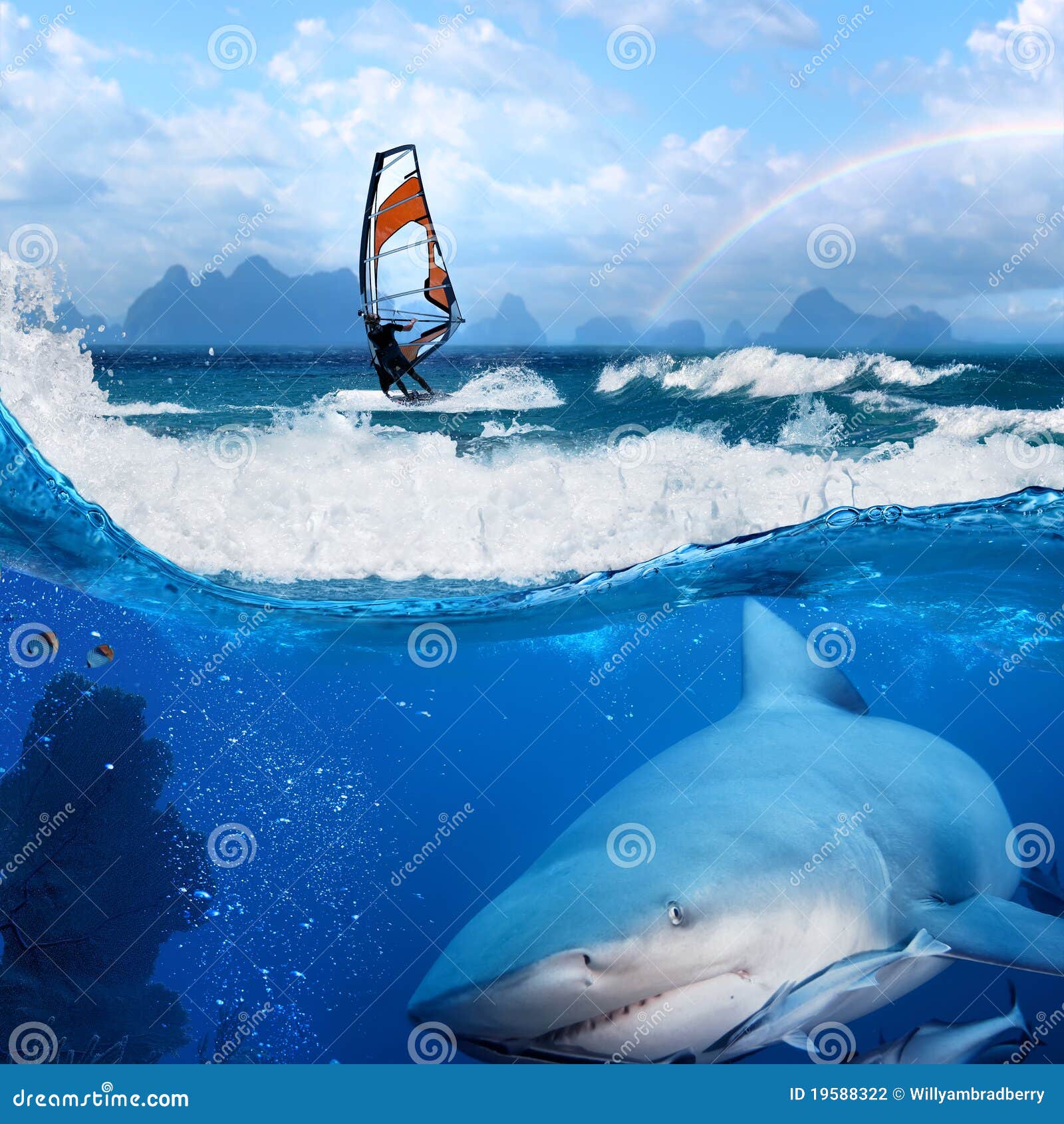 Ocean Underwater Shark