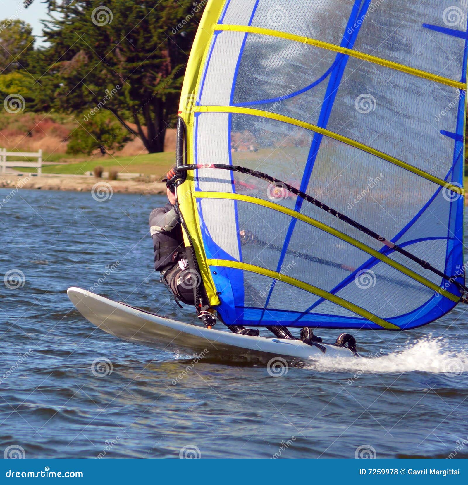 Windsurfer Speed demon stock photo. Image of active, surfer - 7259978