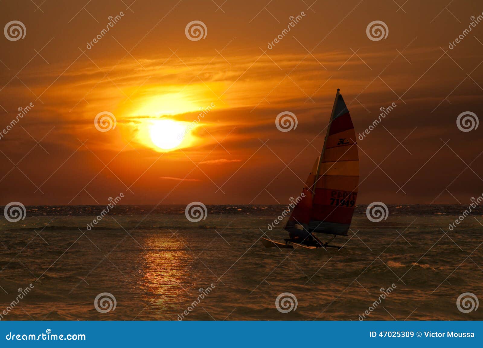 Windsurfing stock image. Image of extreme, sunset, activity - 47025309