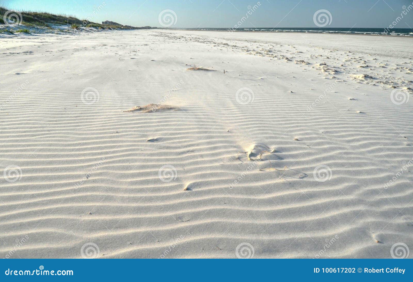 Windswept stock photo. Image of florida, ripples, ocean - 100617202