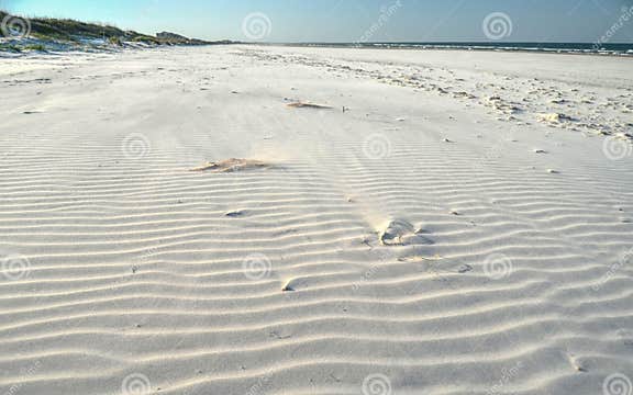 Windswept stock photo. Image of florida, ripples, ocean - 100617202
