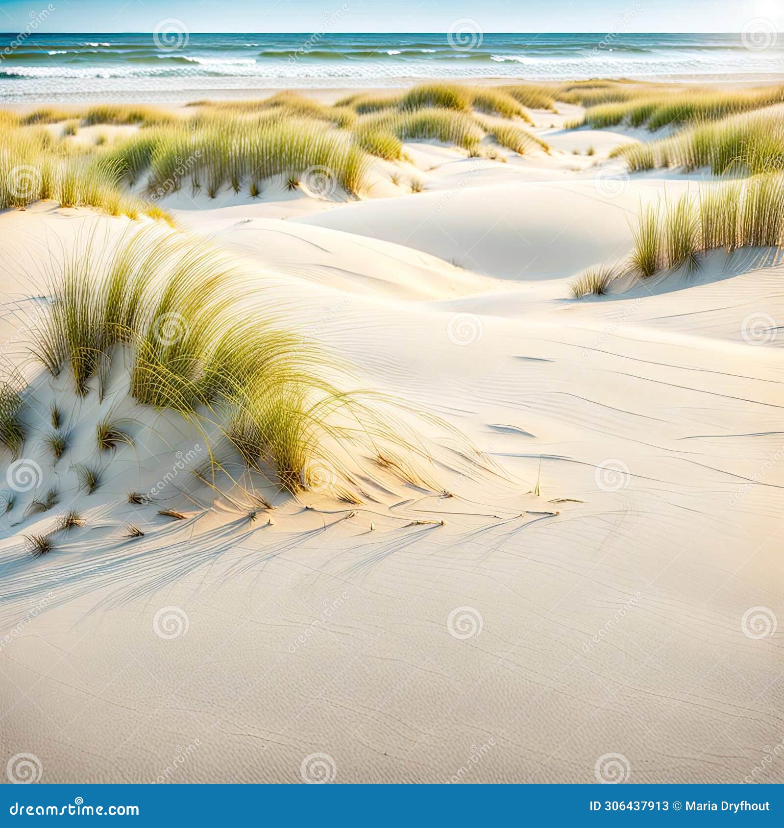 Windswept Beach Sand with Dune Grass Stock Illustration - Illustration ...