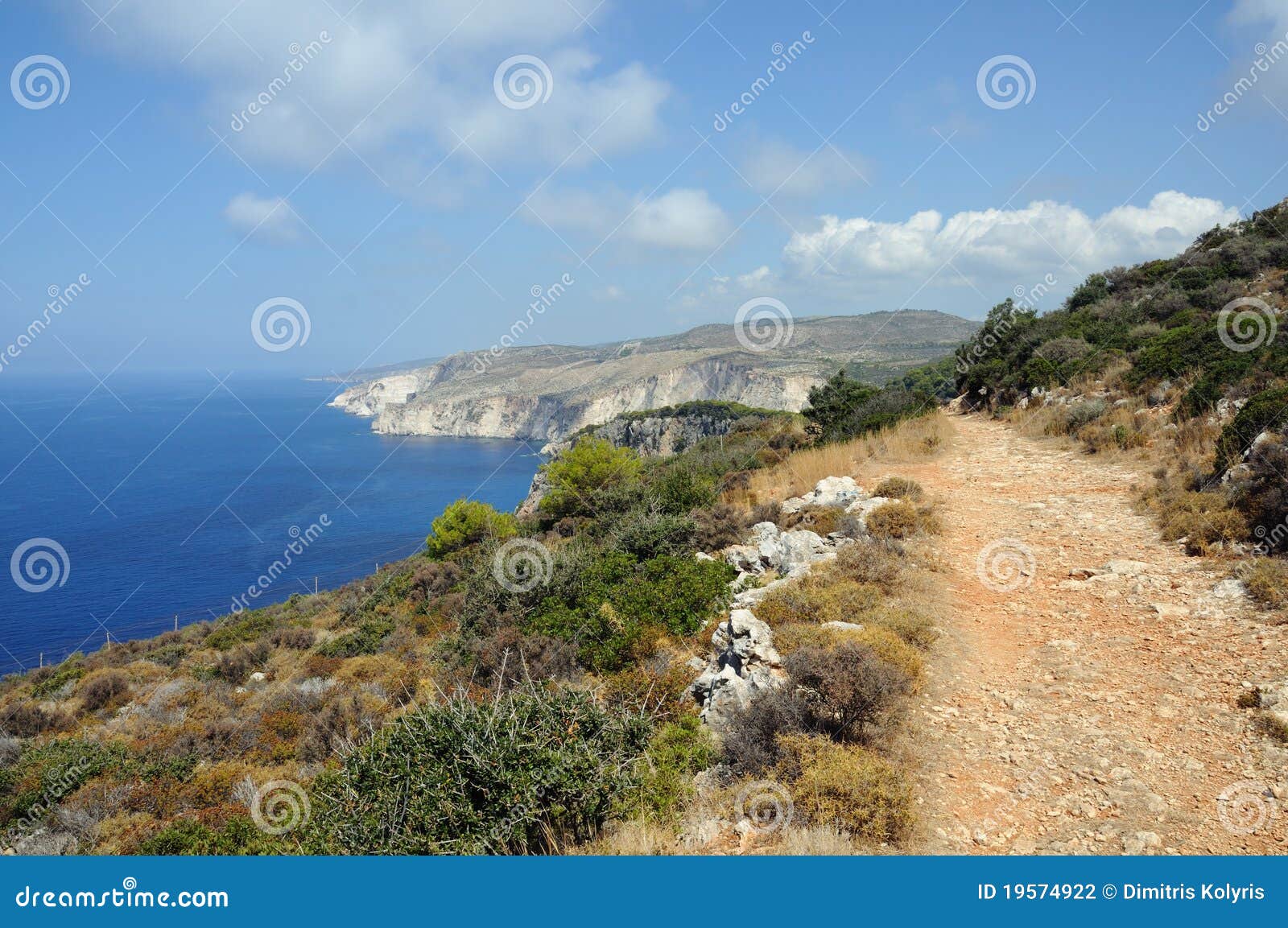Windswept coastal ridges stock photo. Image of bush, cliff - 19574922