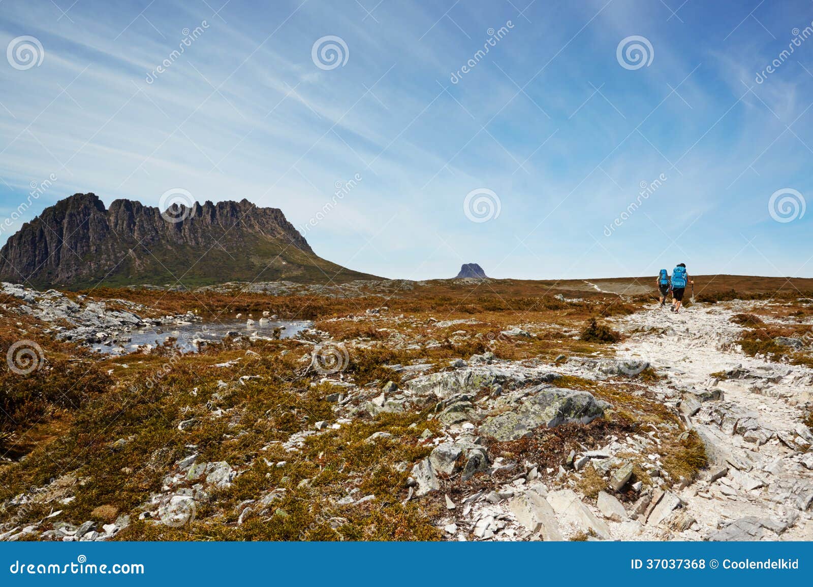 Windswept Hikers on the Desolate Overland Trail, Tasmania Stock Photo ...