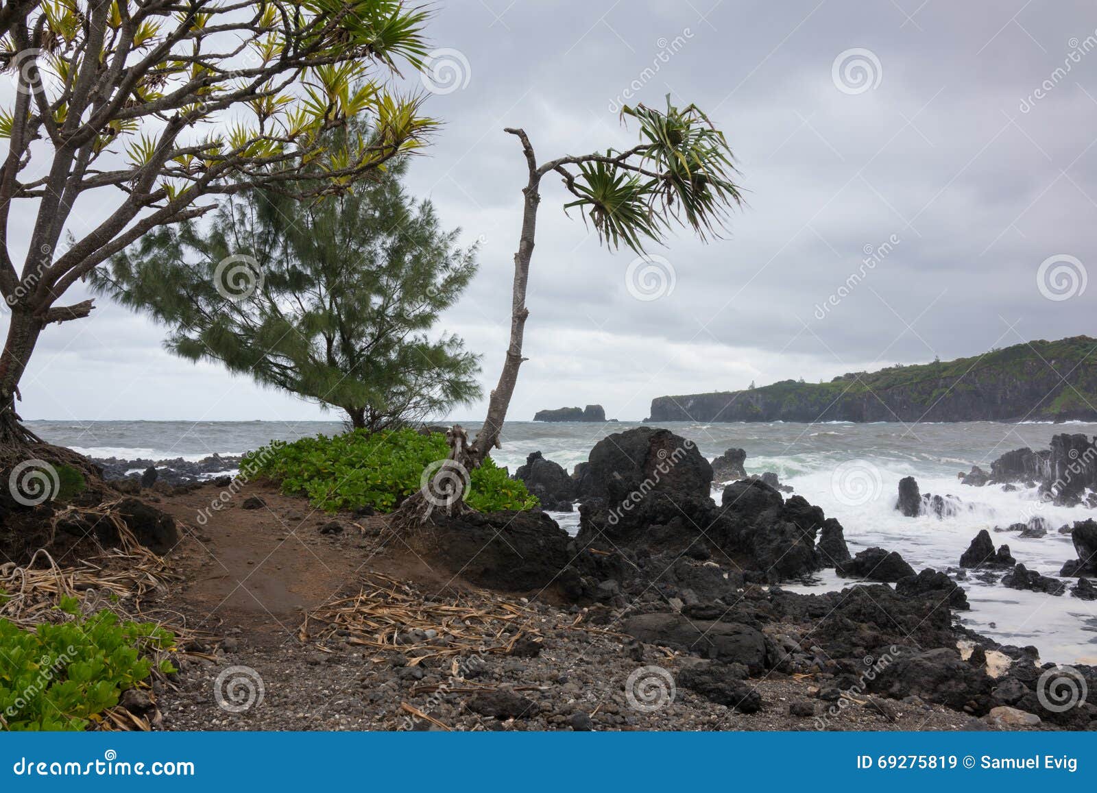 A Windswept Maui Beach stock image. Image of rocks, maui - 69275819