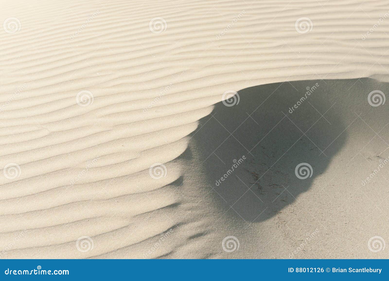 Windswept sand patterns stock photo. Image of sand, concepts - 88012126